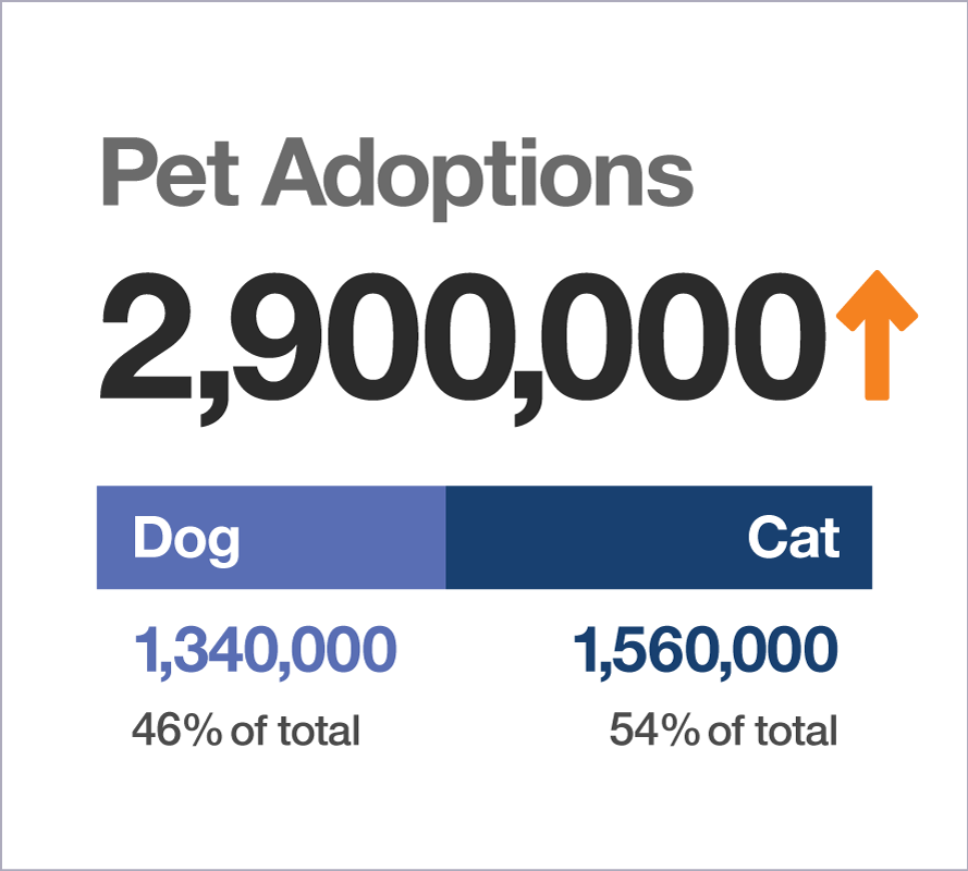 Shelter pet data | Best Friends Animal Society