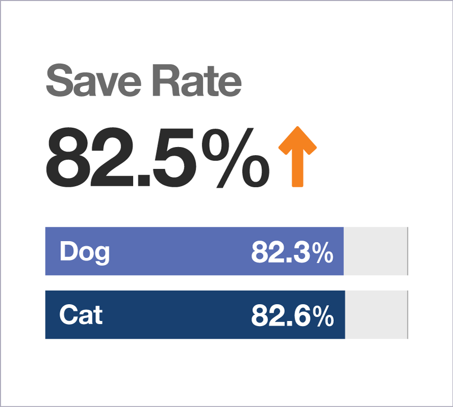 Shelter pet data | Best Friends Animal Society