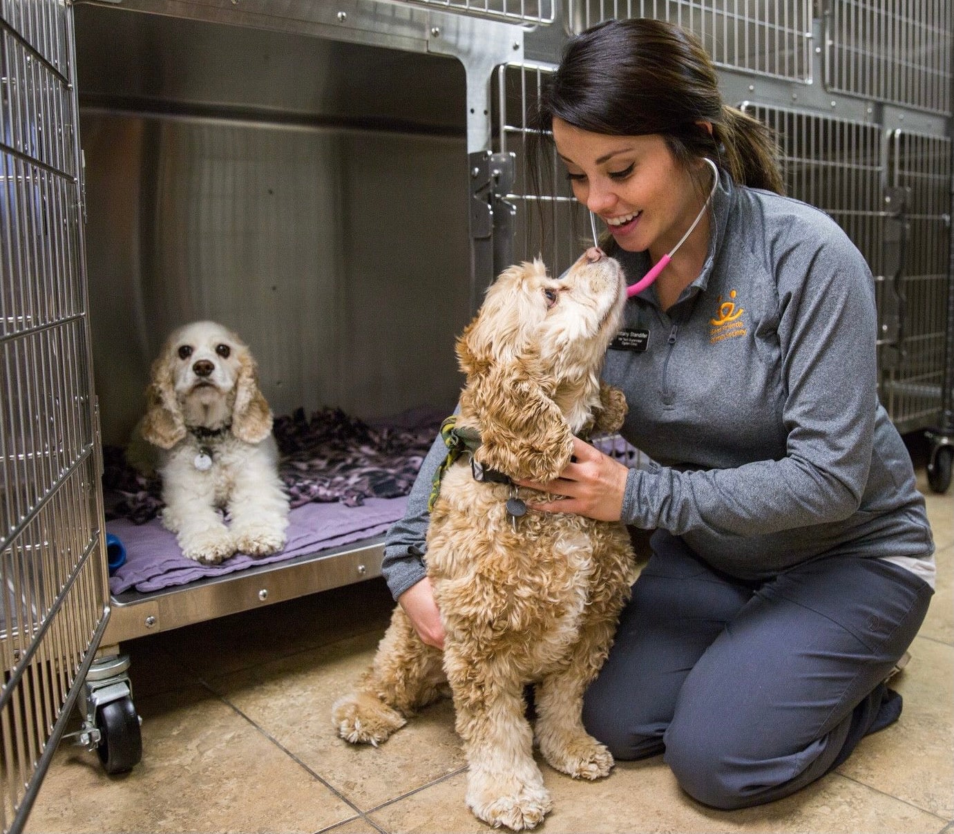 Increase access to veterinary care in Arizona | Best Friends Animal Society