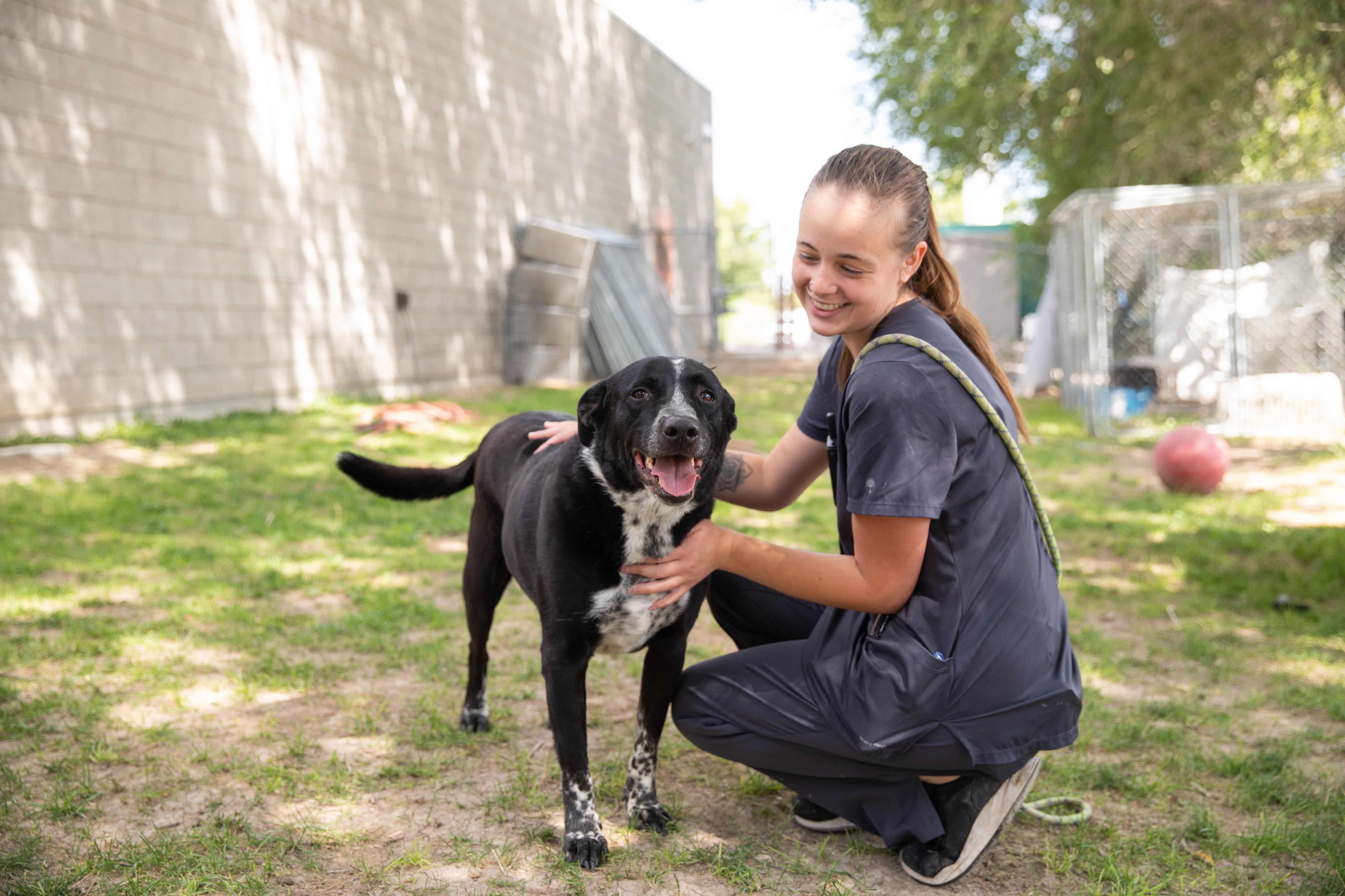 Pledge: Declare your support for shelter pets in Autauga County, AL ...