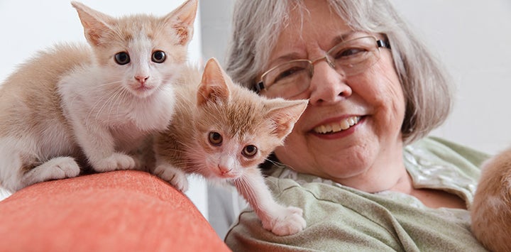 Manage Monthly Donation to Animals | Best Friends Animal Society - Save ...