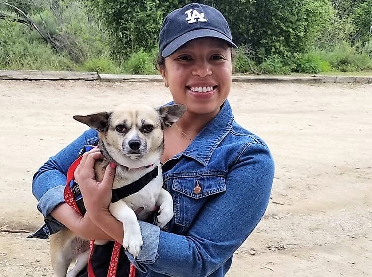 COVID companion to forever friend: Tips to find the perfect pooch ...