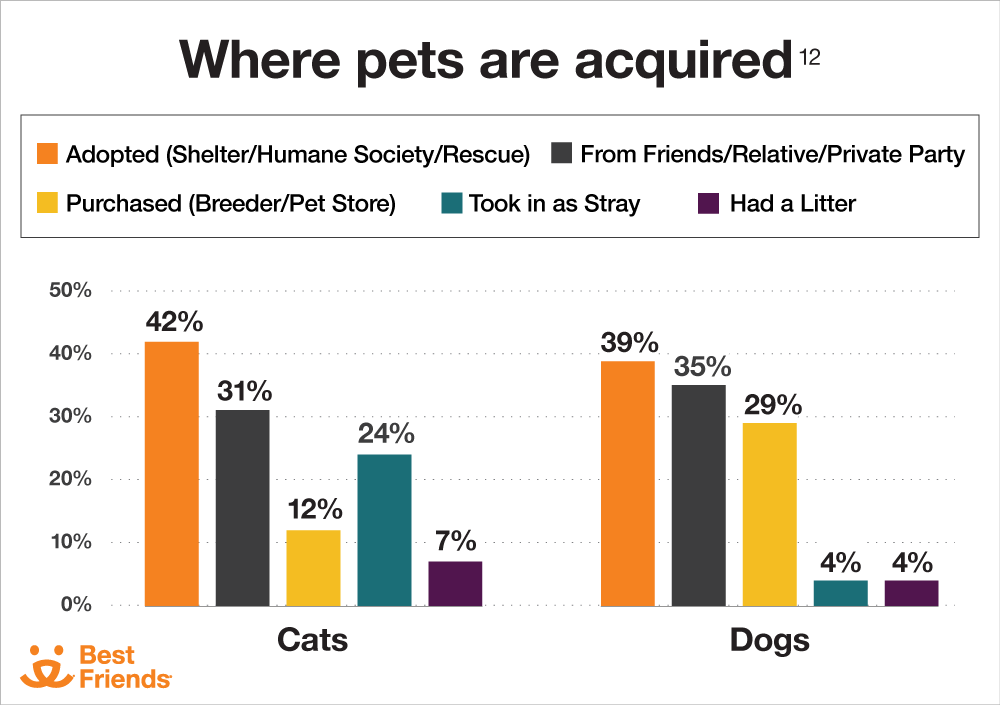 Top 151 Animal Rights Statistics Lestwinsonline Top 151 Animal Rights Statistics Lestwinsonline