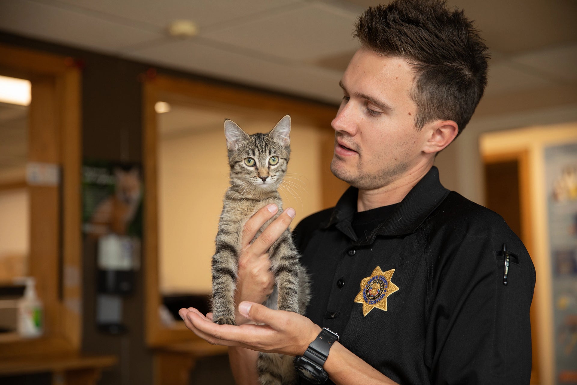 Strategic Intake & Pathway Planning | Best Friends Animal Society