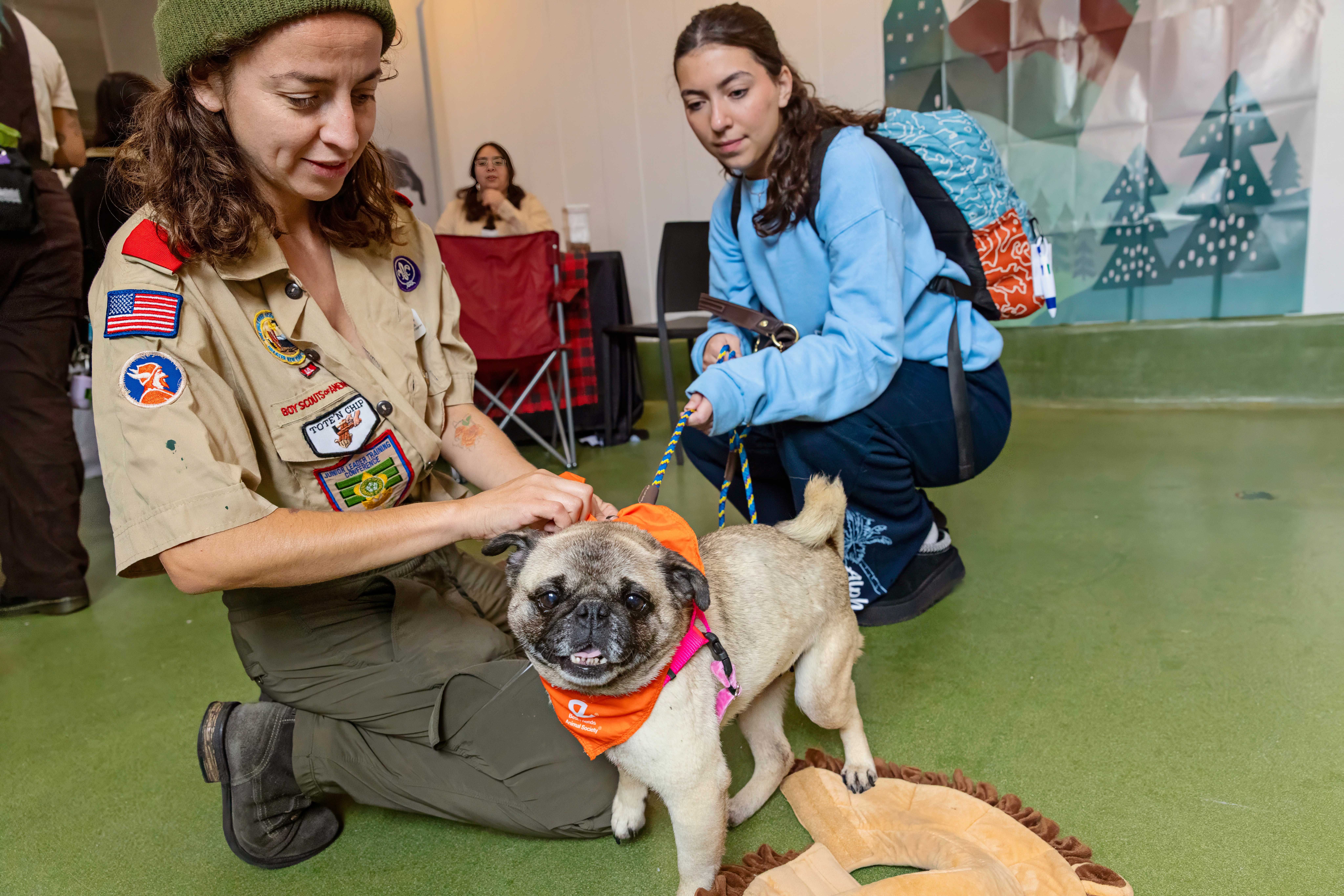 Adventures abound for adoptable dogs | Best Friends Animal Society