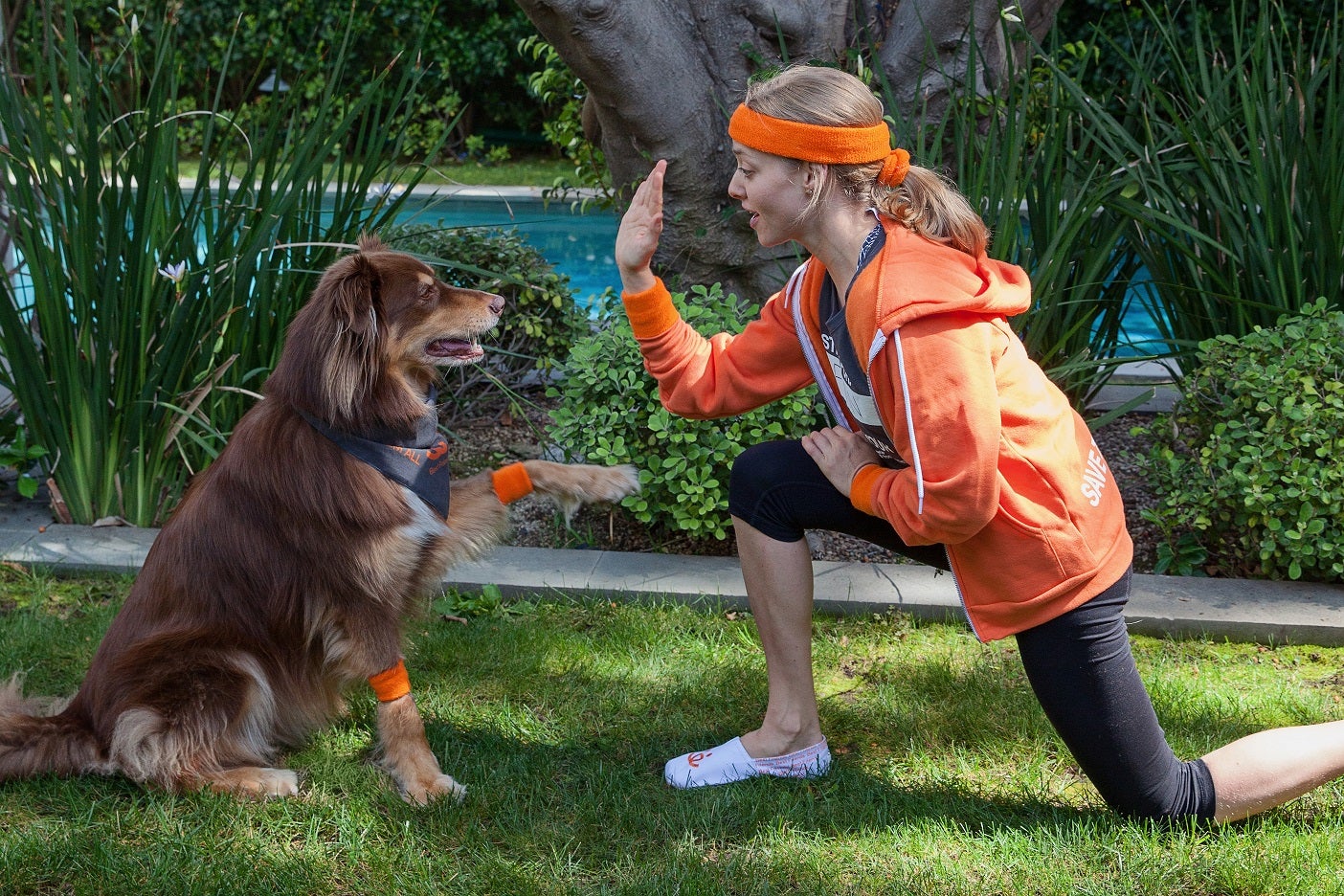 Celebrities and Their Dogs to Strut Their Stuff at Strut Your Mutt Los ...