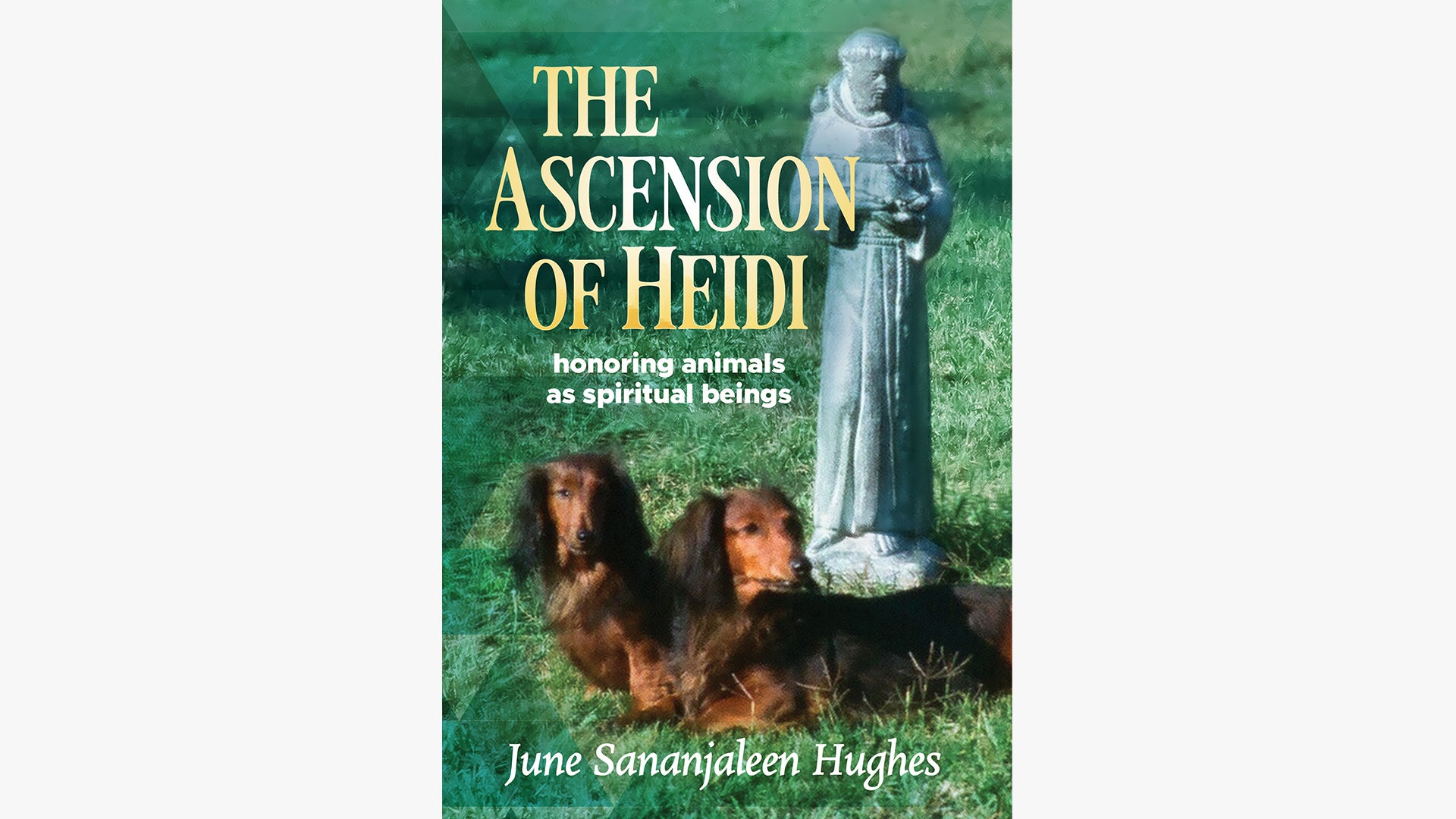 Book review: ‘The Ascension of Heidi’ | Best Friends Animal Society