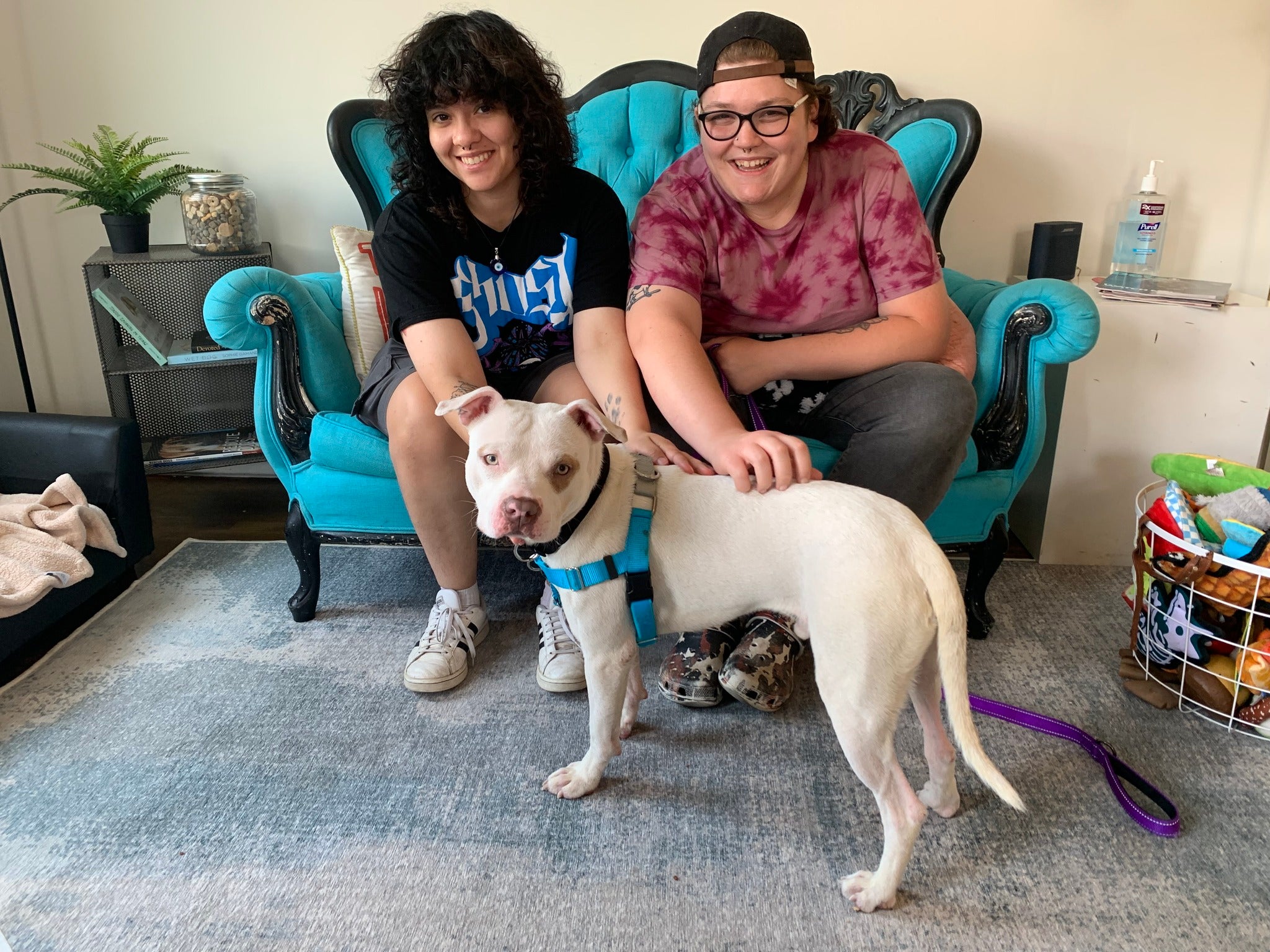 Grant helps save more dogs in Chicago shelters | Best Friends Animal ...