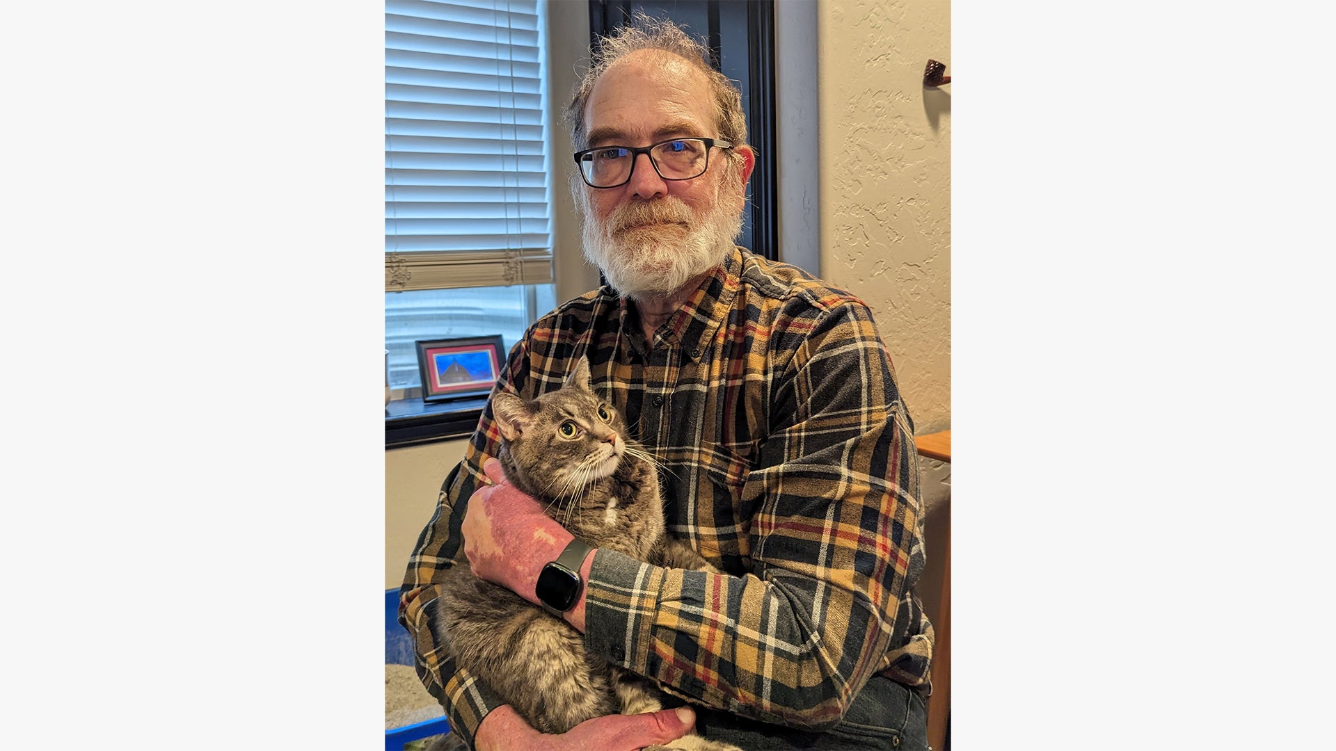 Faces of No-Kill: Cat finds kindred spirit in foster care | Best ...