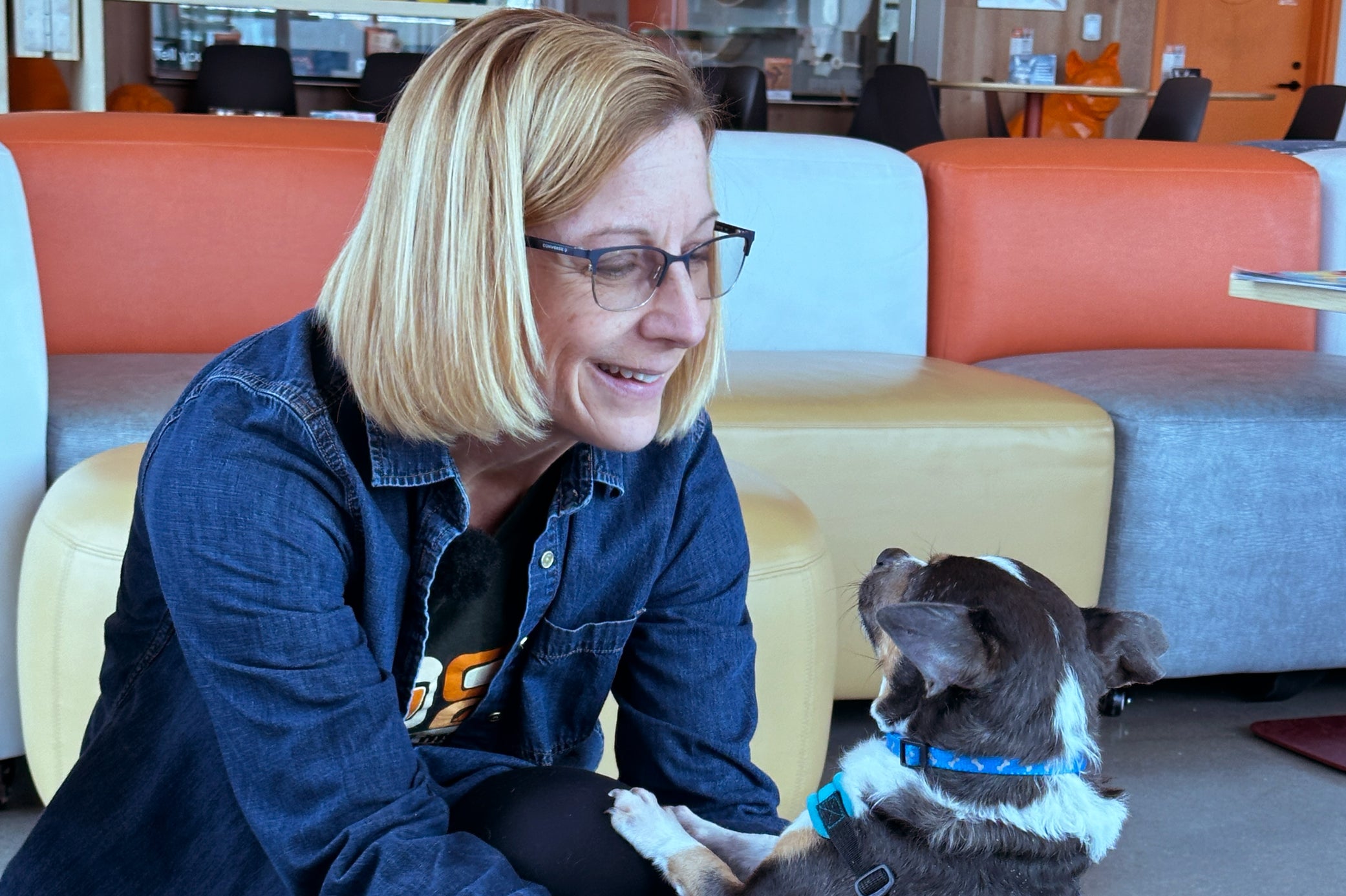 Rescued dog helps marathoner chase Six Star dream | Best Friends Animal ...