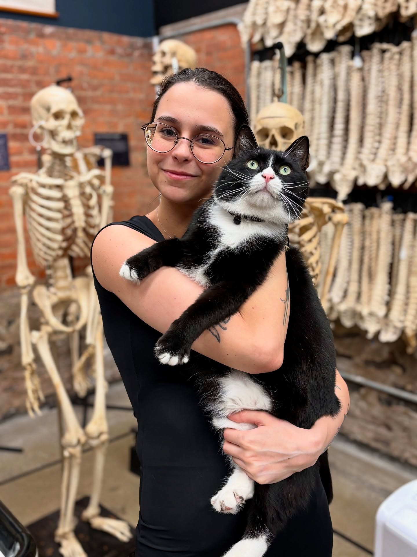 Home sweet bone: Adopted cat living in museum | Best Friends Animal Society
