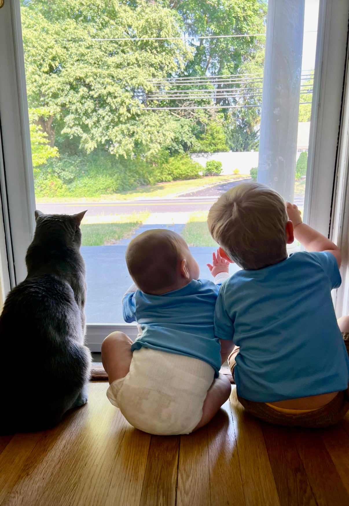 Bad luck? Black cat myths debunked | Best Friends Animal Society