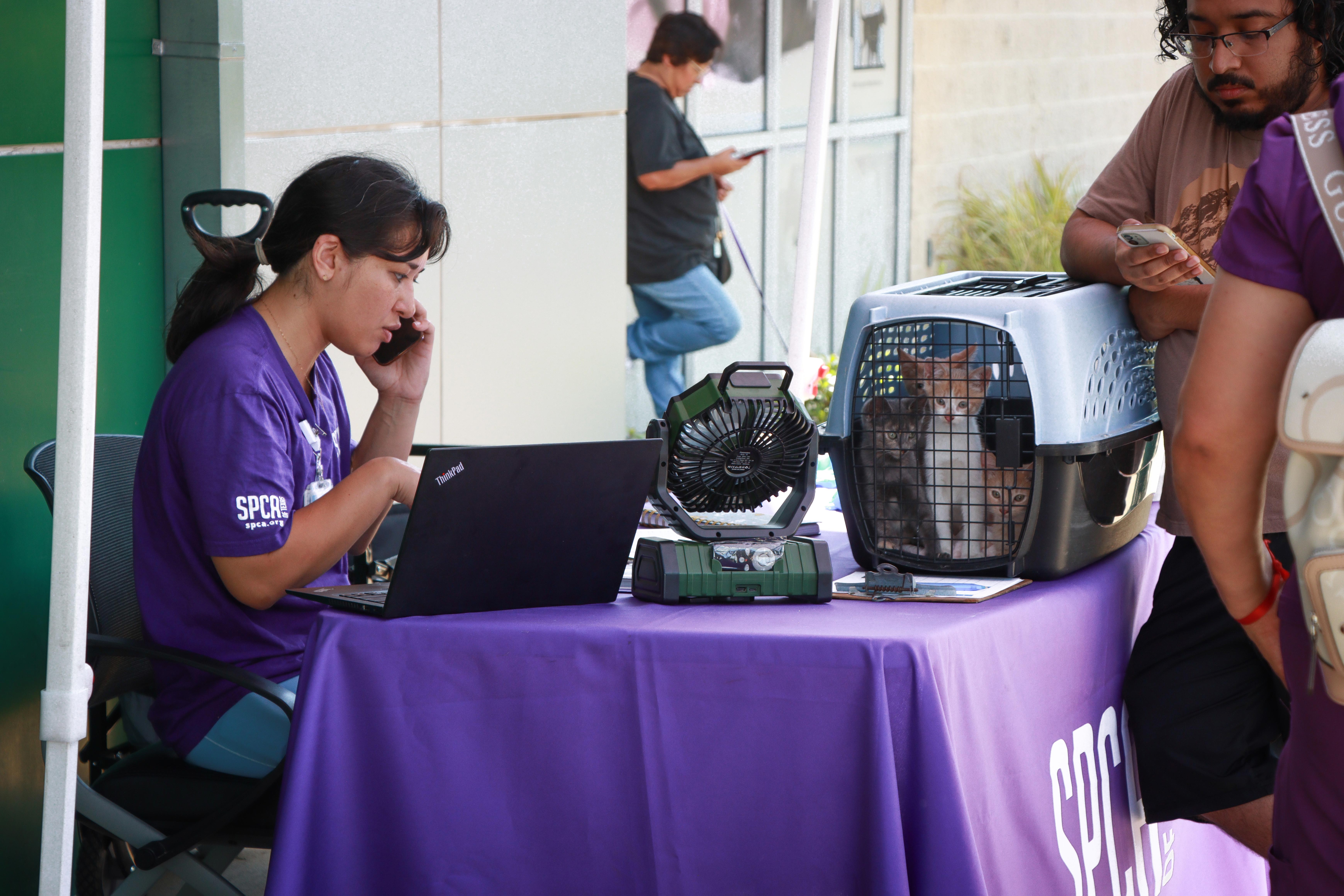 Adopt a pet from an animal shelter or rescue group | Best Friends ...