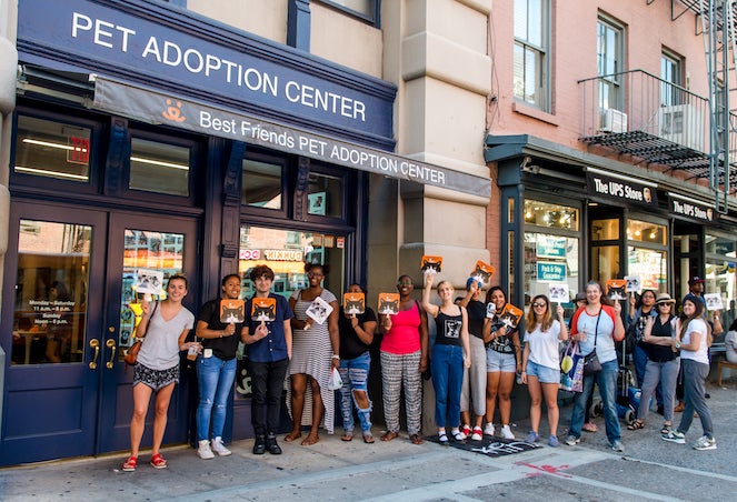 Clear the Shelters event a success | Best Friends Animal Society