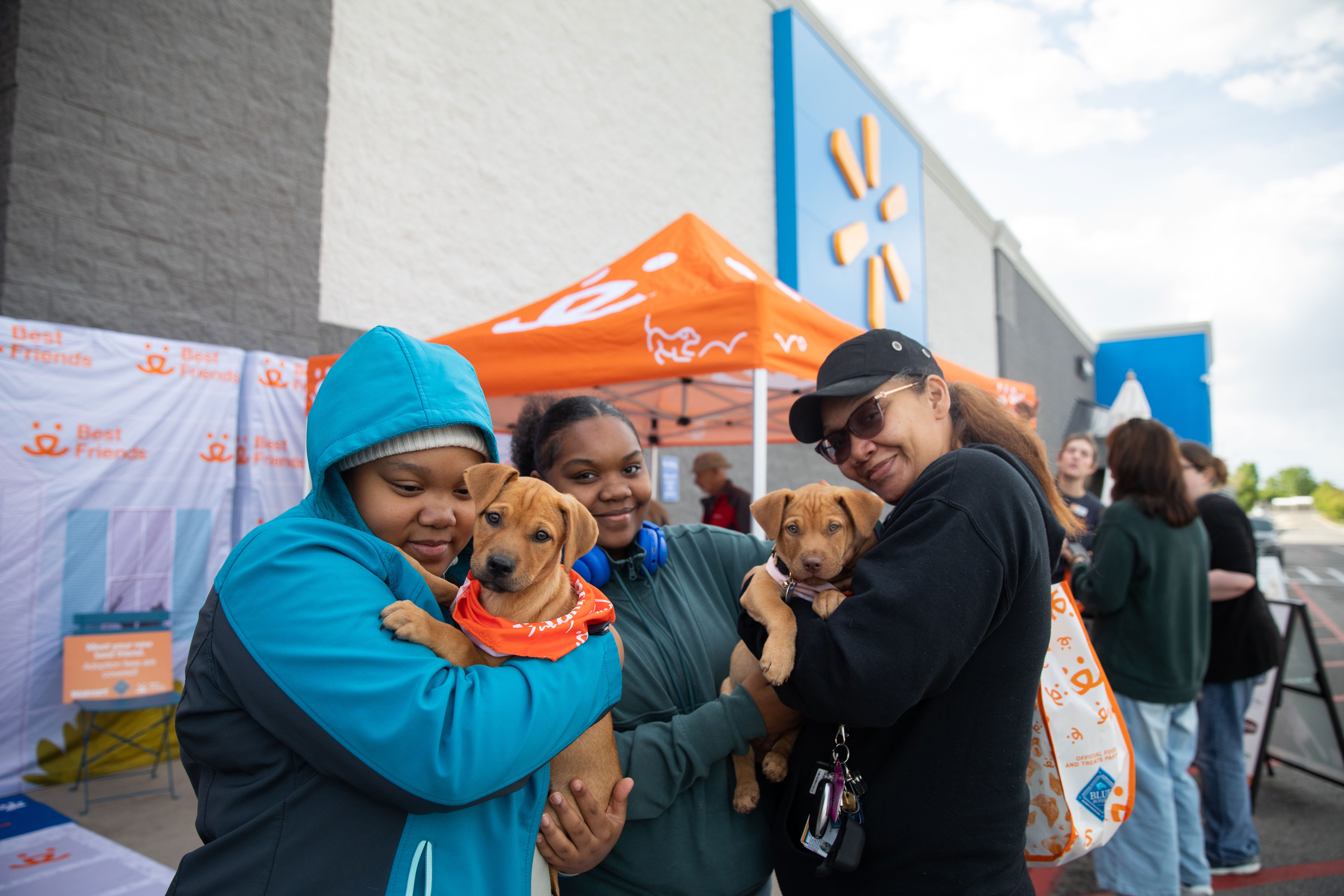 Aisles of smiles: Hundreds of pets adopted at Walmart events | Best ...