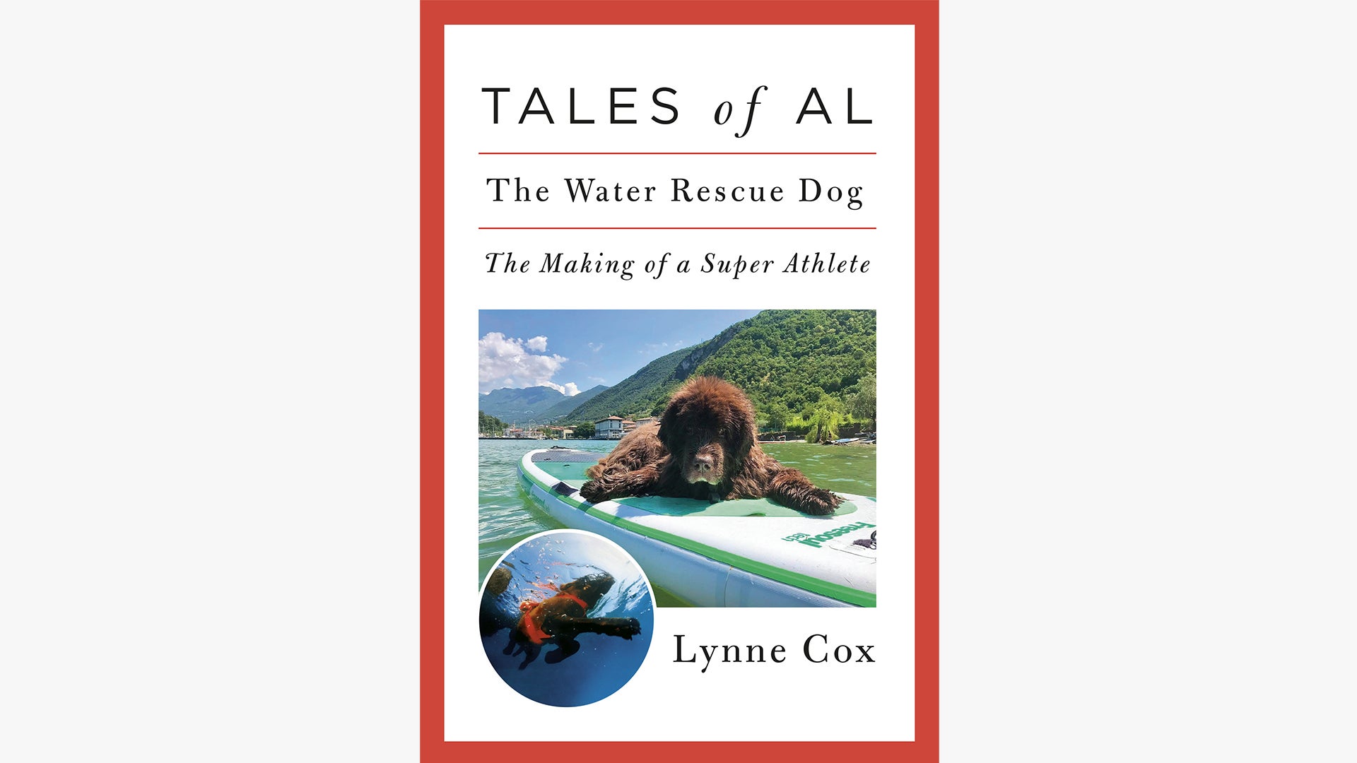 Book review: ‘Tales of Al: The Water Rescue Dog’ | Best Friends Animal ...