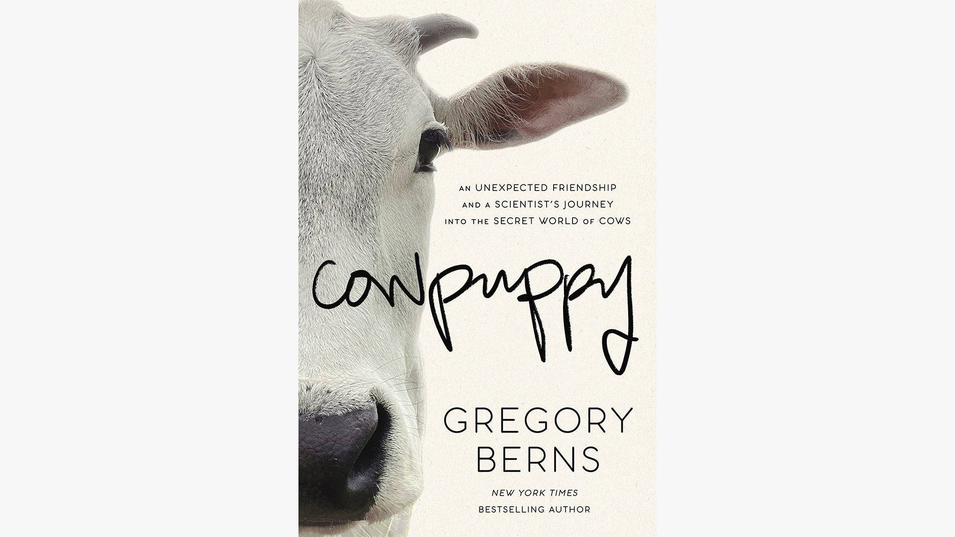 Book review: ‘Cowpuppy’ | Best Friends Animal Society
