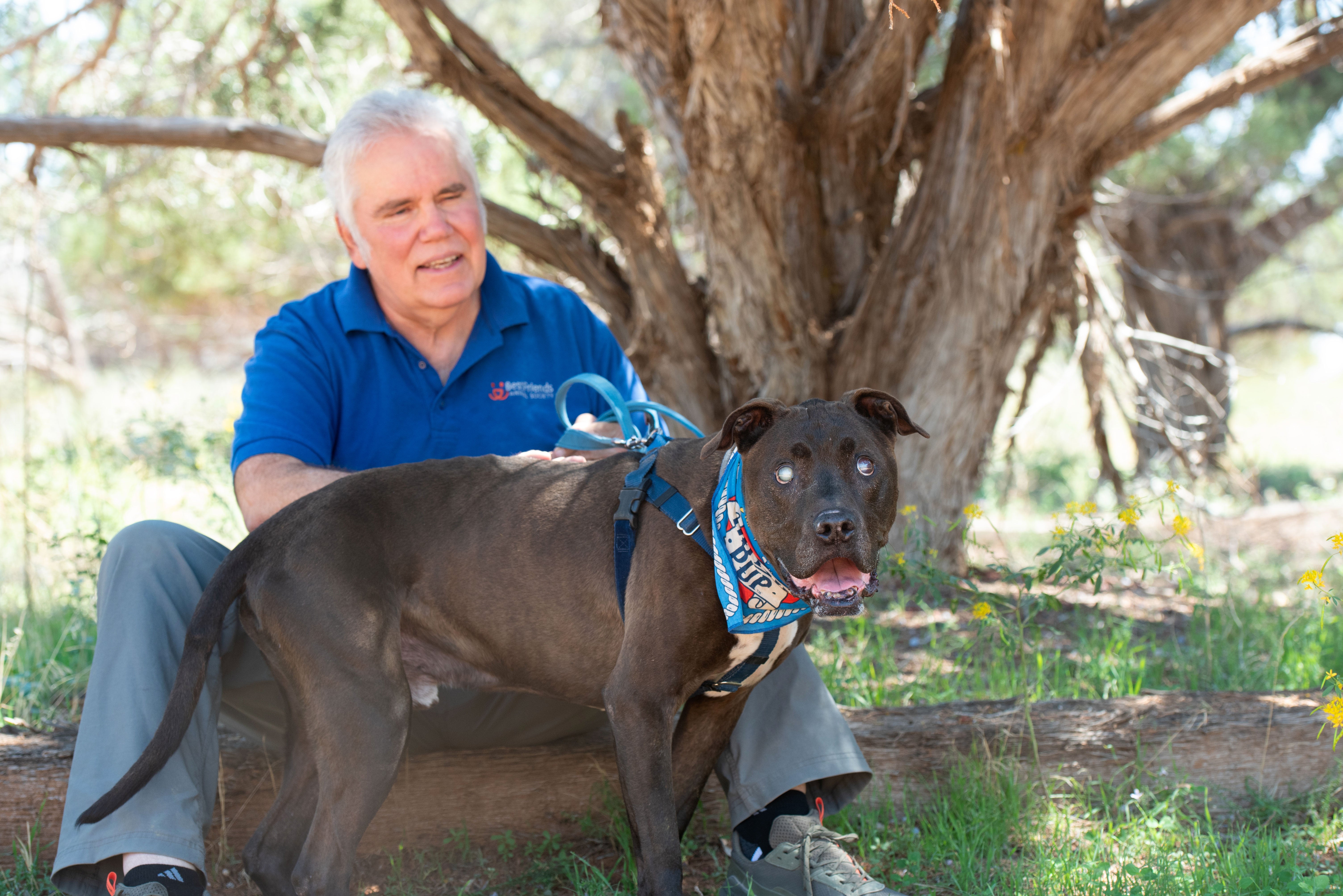 Blind dog looks out for the ones he loves | Best Friends Animal Society