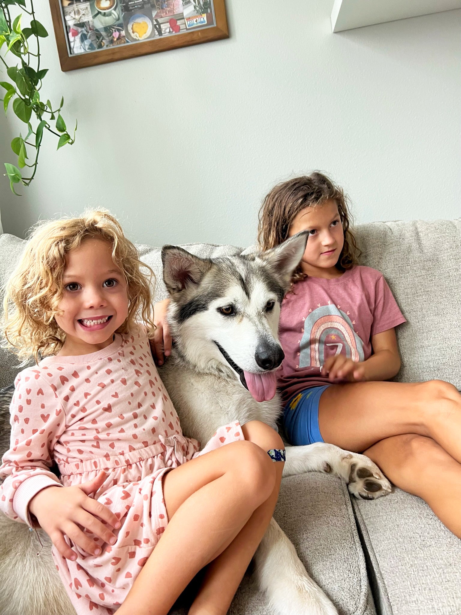 A story of love and learning with an anxious dog | Best Friends Animal ...