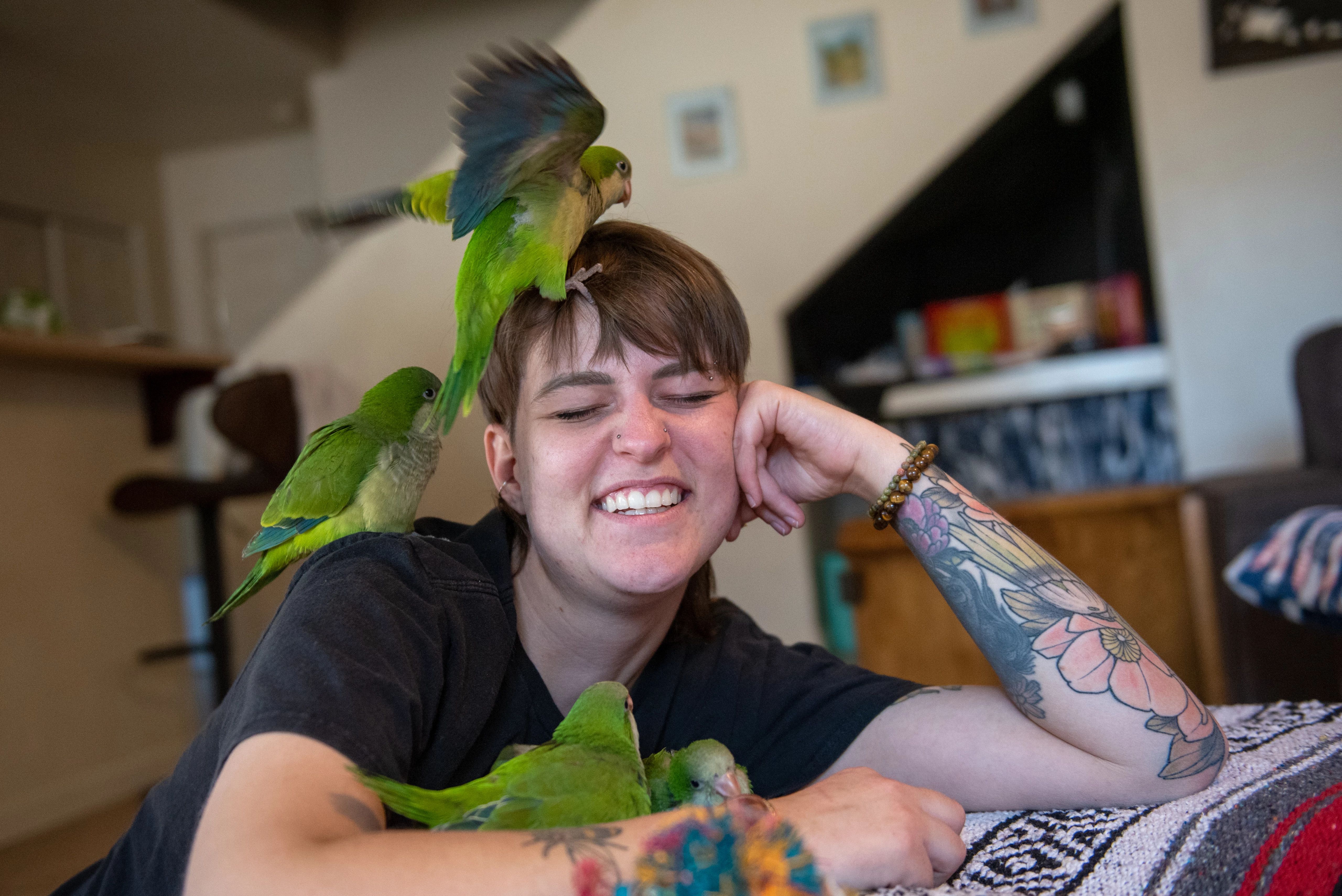 Animals From Closed Zoo Find Safety At Best Friends Best Friends
