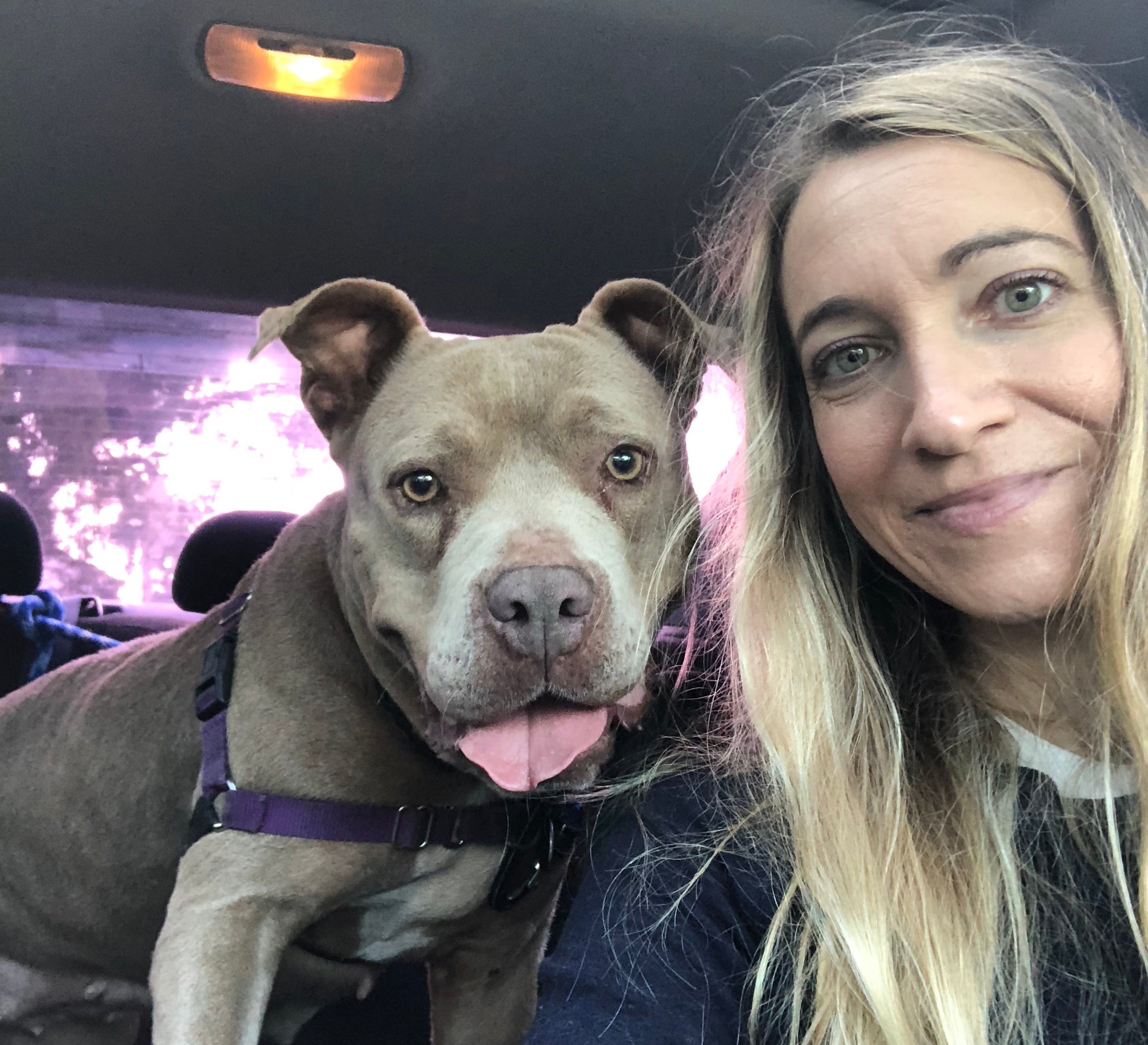 Our "Best Friend" Honored Volunteer: Erin Magner | Best Friends Animal ...