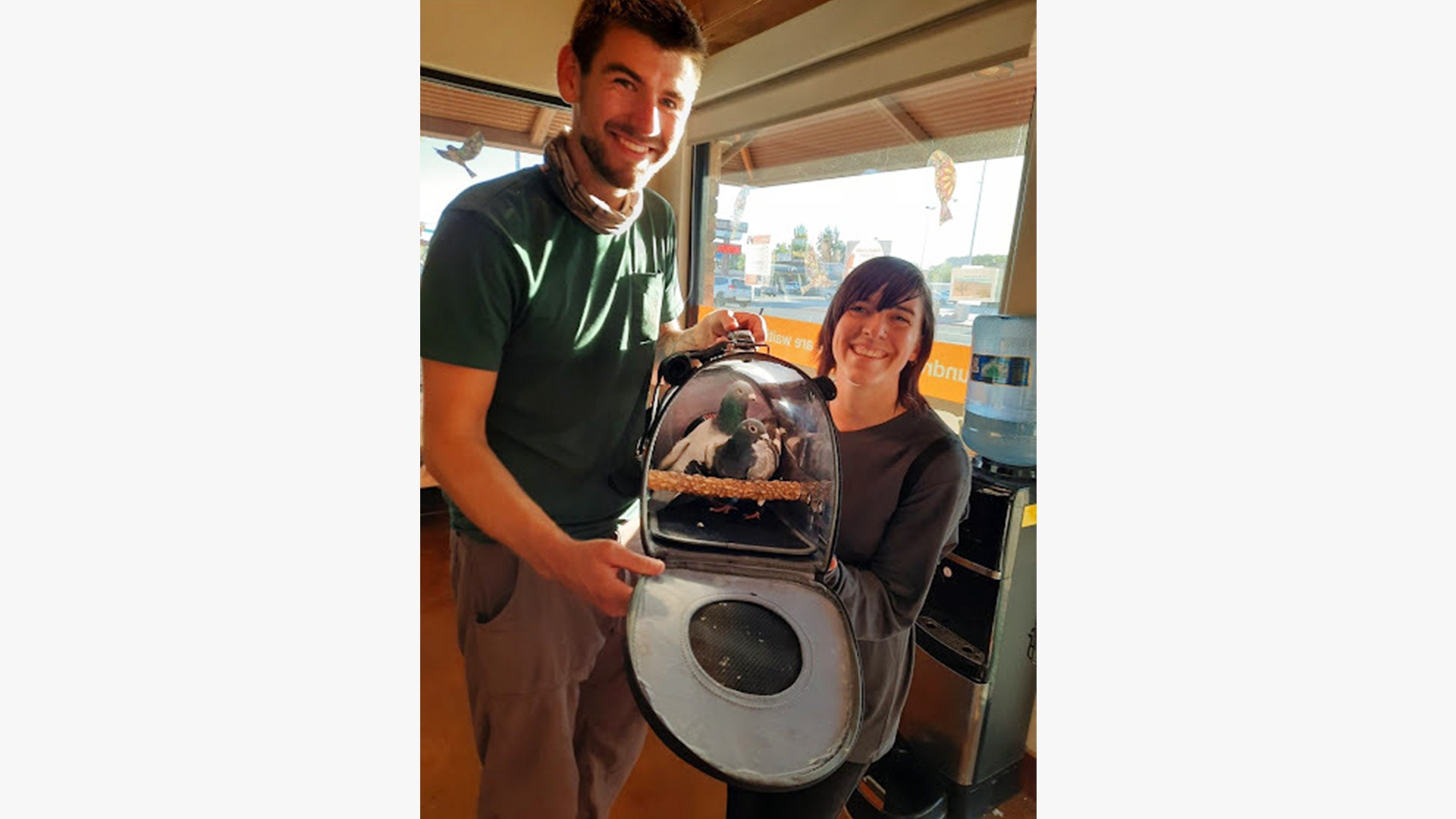 Pigeon pair land a pair of pigeon people | Best Friends Animal Society