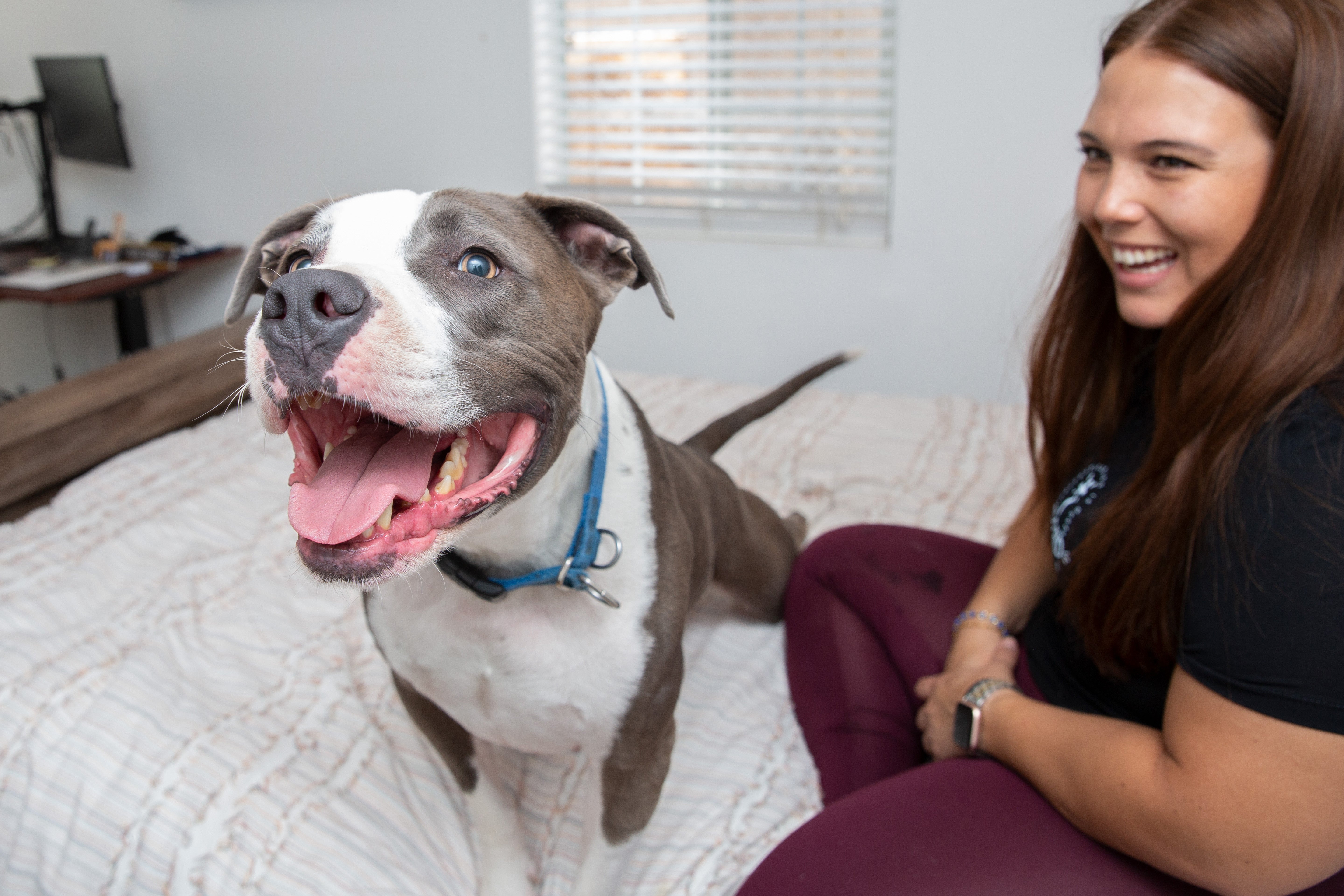 Best Friends satellite foster programs take off | Best Friends Animal ...