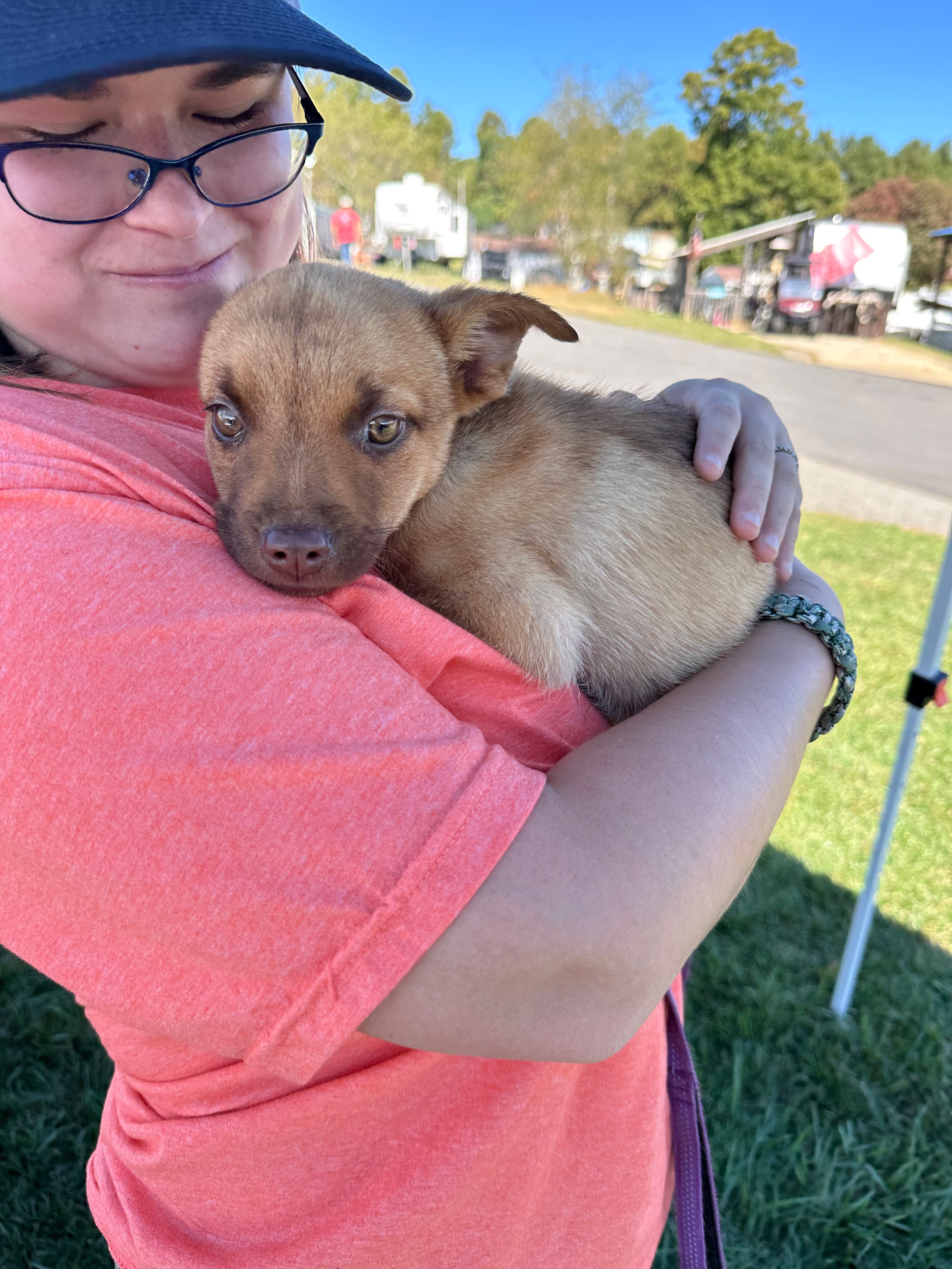 No-kill animal shelters: The new normal in America | Best Friends ...