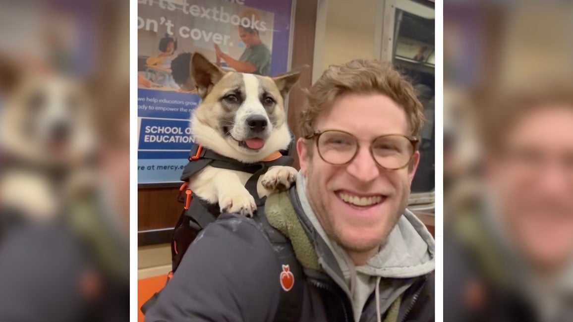 Why we love a viral animal story | Best Friends Animal Society