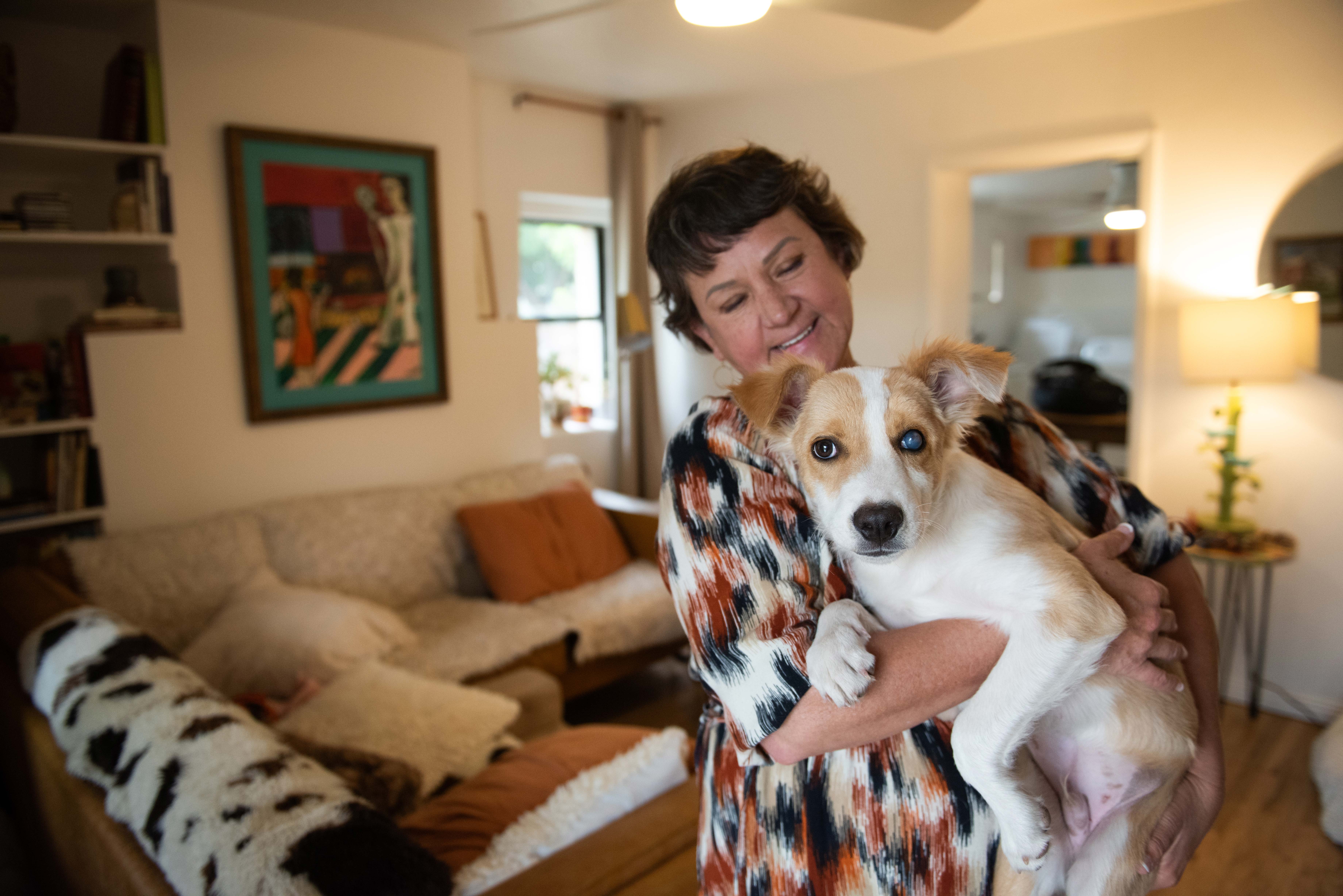 Faces of No-Kill: Angelic pup survives head injury | Best Friends ...