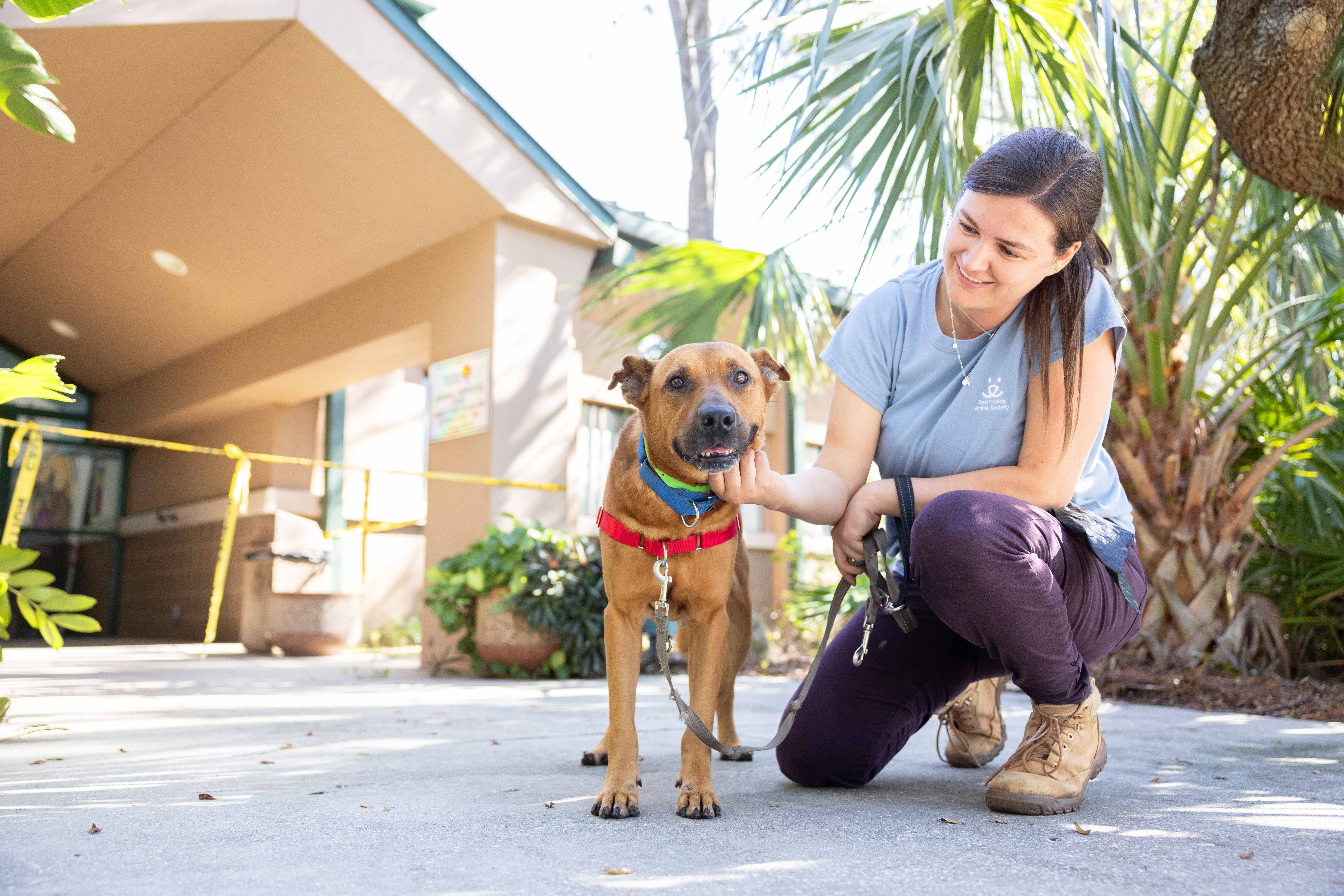 Love of pets unites helpers in hurricane aftermath | Best Friends ...