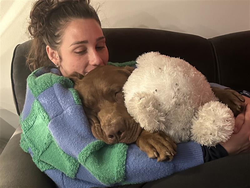 Fostering a dog to heal a grieving heart | Best Friends Animal Society