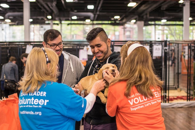 New York City unites to help homeless pets | Best Friends Animal Society