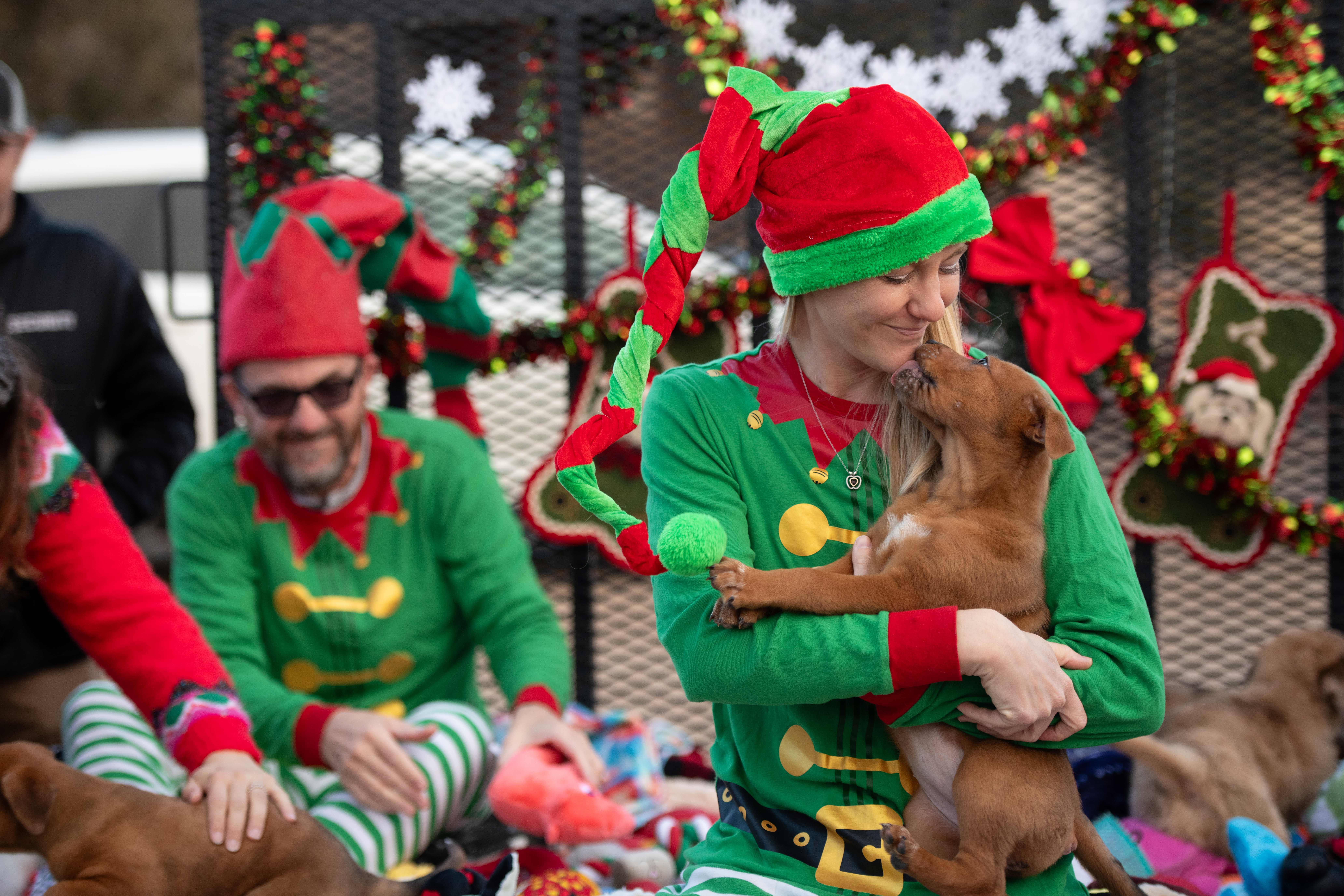 Christmas with the animals at Best Friends | Best Friends Animal Society