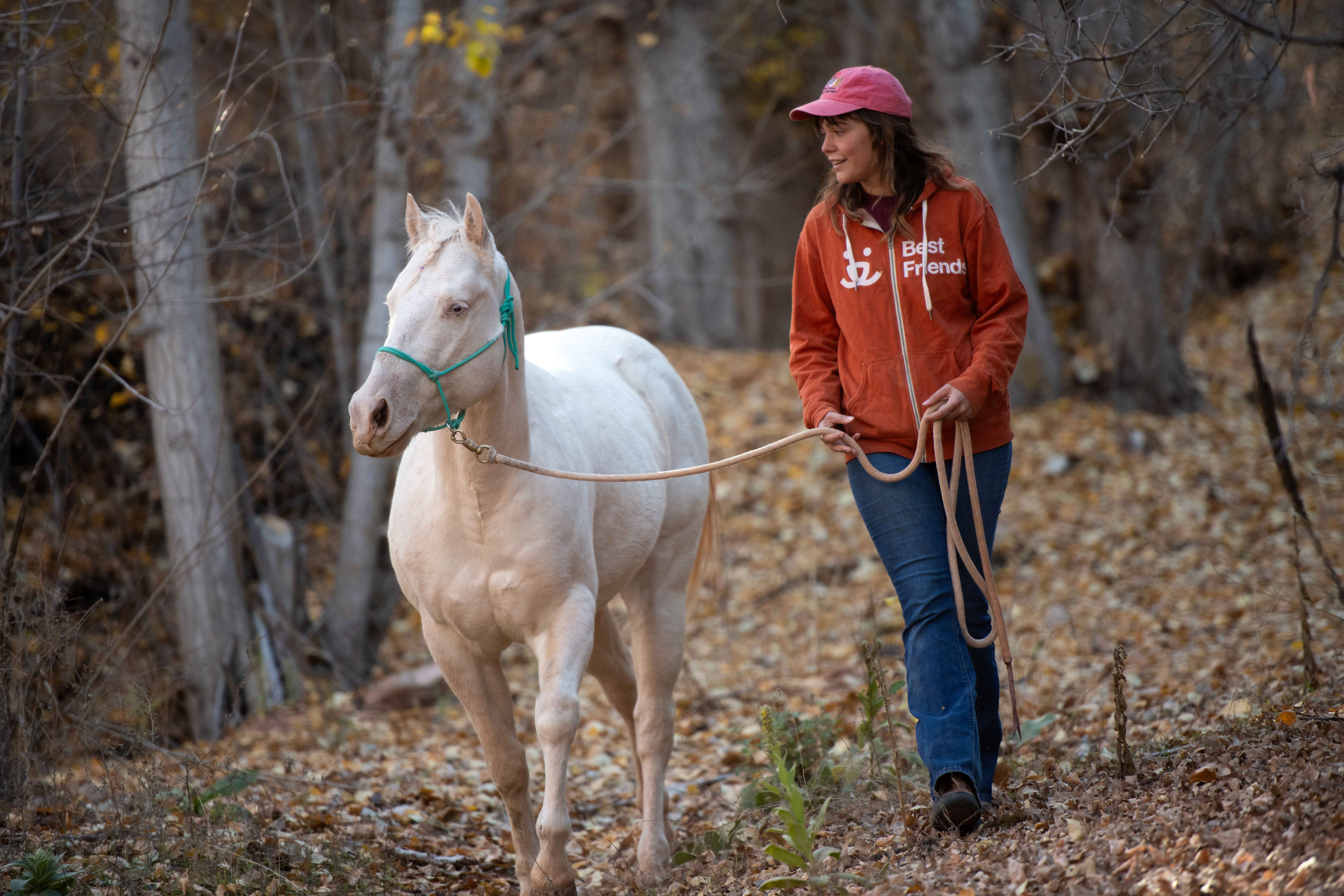 Pet photos to give thanks, one wag or whisker at a time | Best Friends Animal Society
