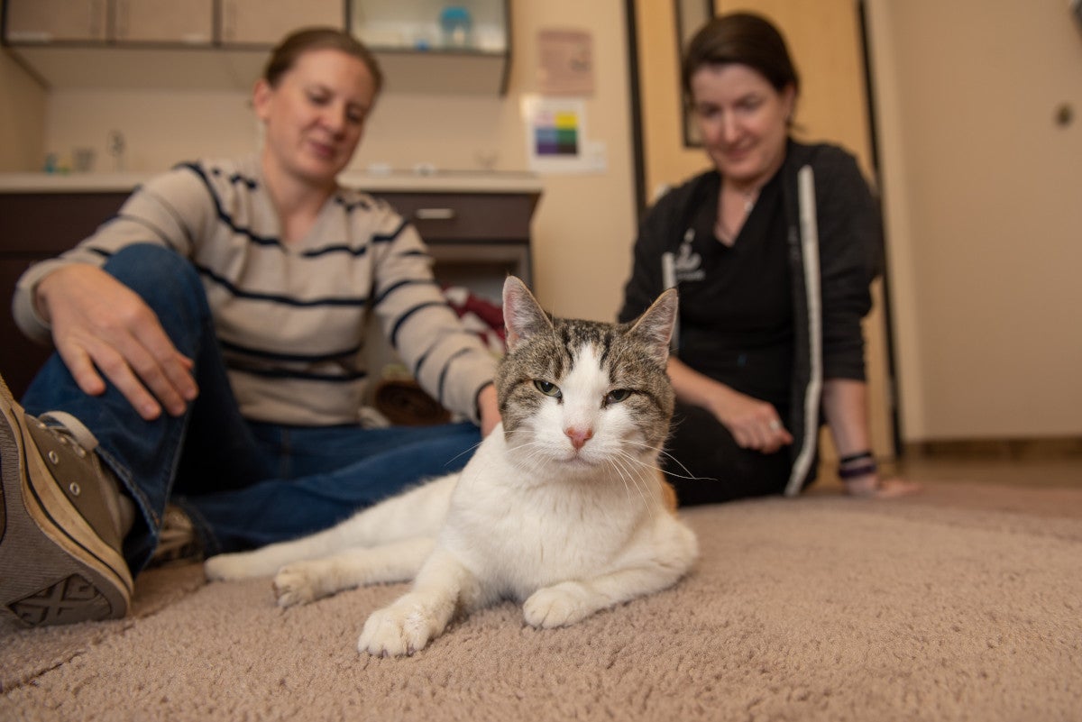 Support Your Local Utah Shelter and Rescue Groups | Best Friends Animal ...