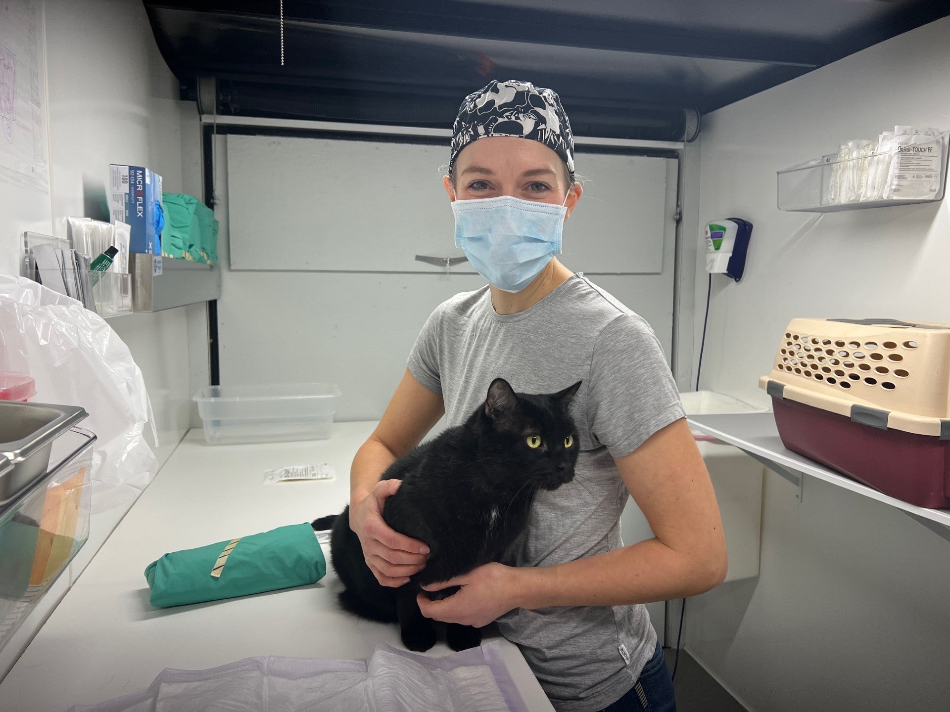 Teaming up to revive an Illinois community cat program | Best Friends ...