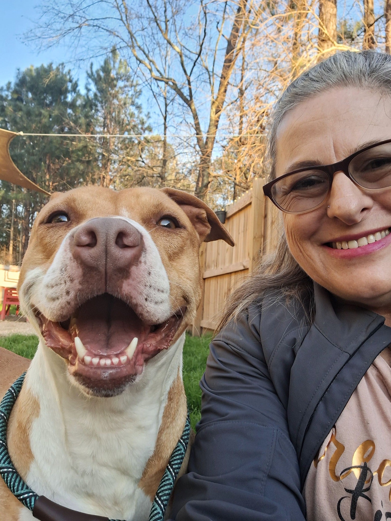 A new life for dogs rescued from dogfighting | Best Friends Animal Society