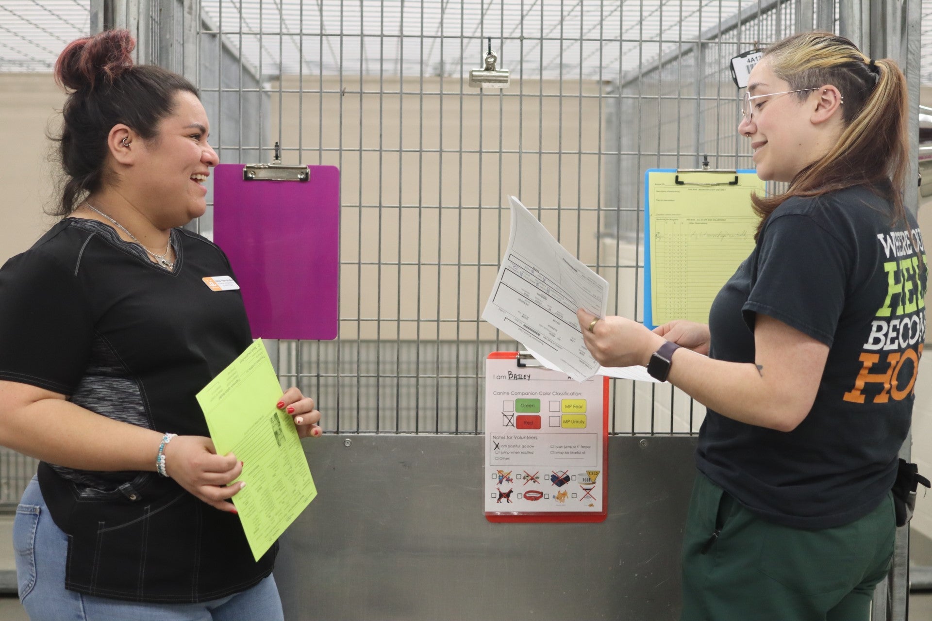 A well-rounded approach to saving more dogs and cats | Best Friends ...