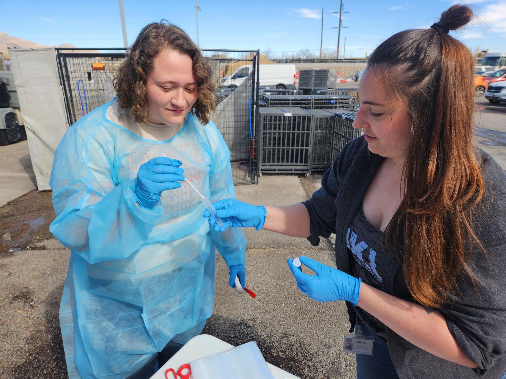 Helping animal shelter staff handle disease outbreaks | Best Friends ...
