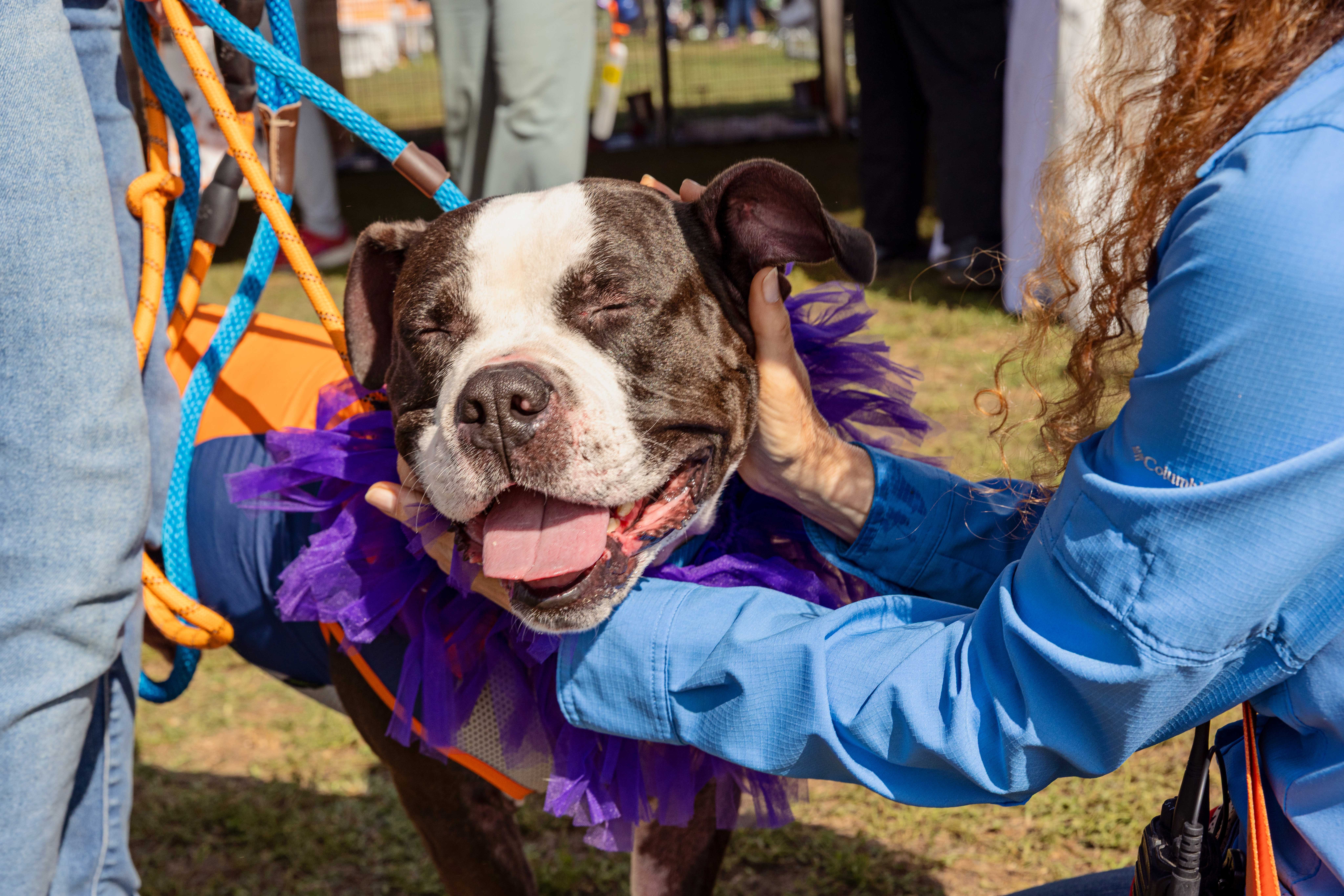 Texas Litter Control | Best Friends Animal Society