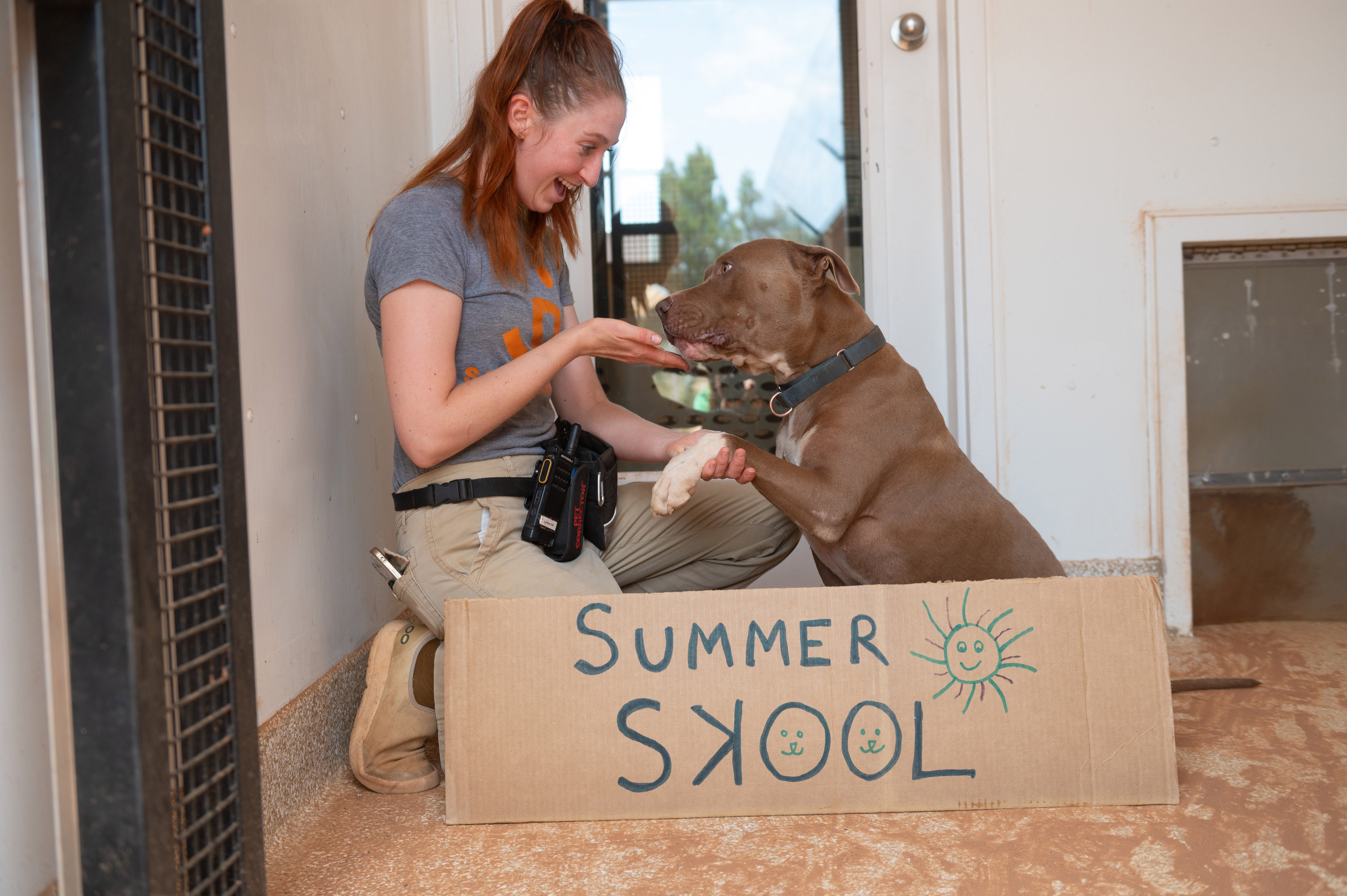 Meet Dogtown’s canine summer school stars | Best Friends Animal Society