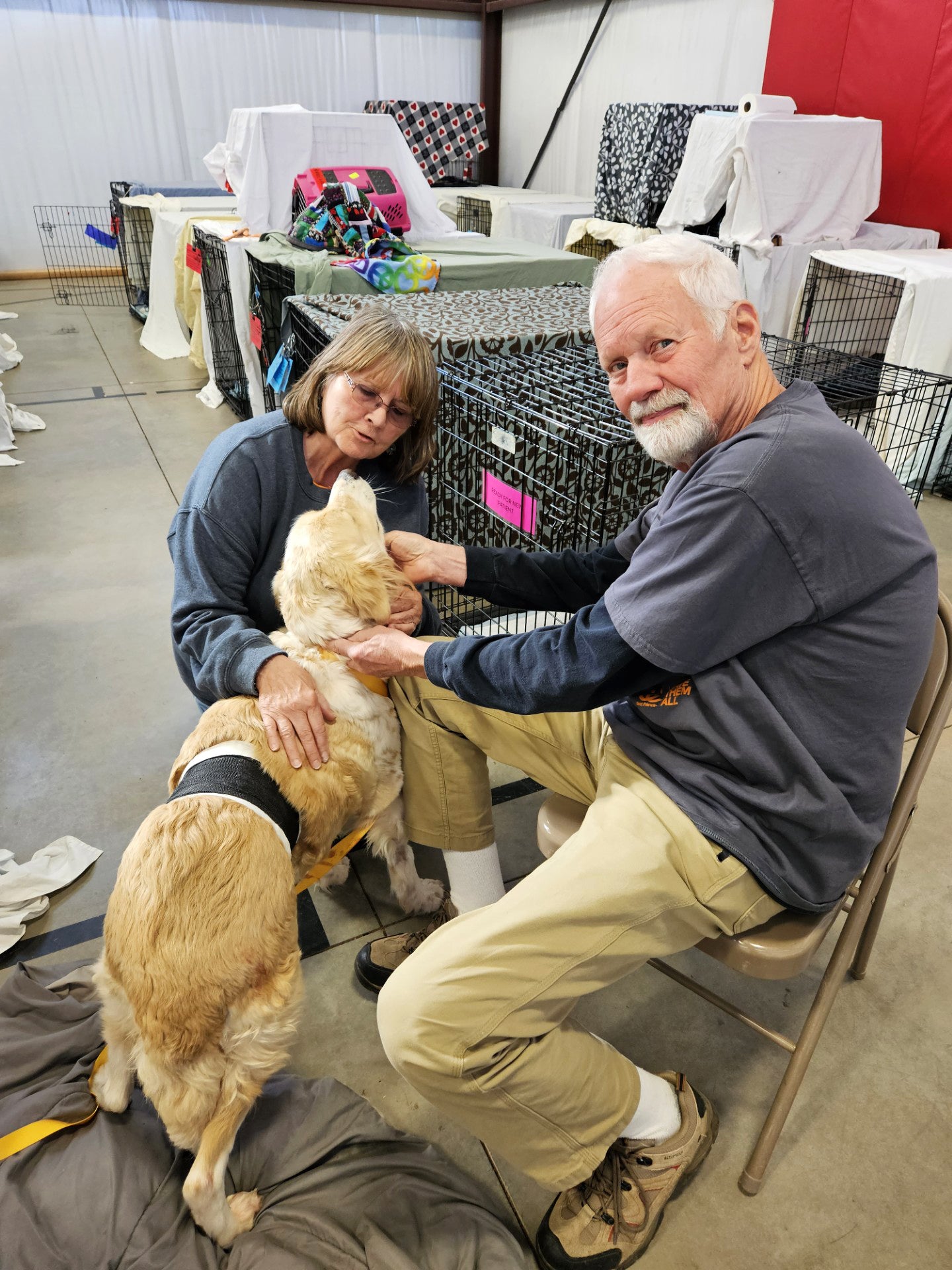 Volunteers hit the road to help animals in need | Best Friends Animal ...