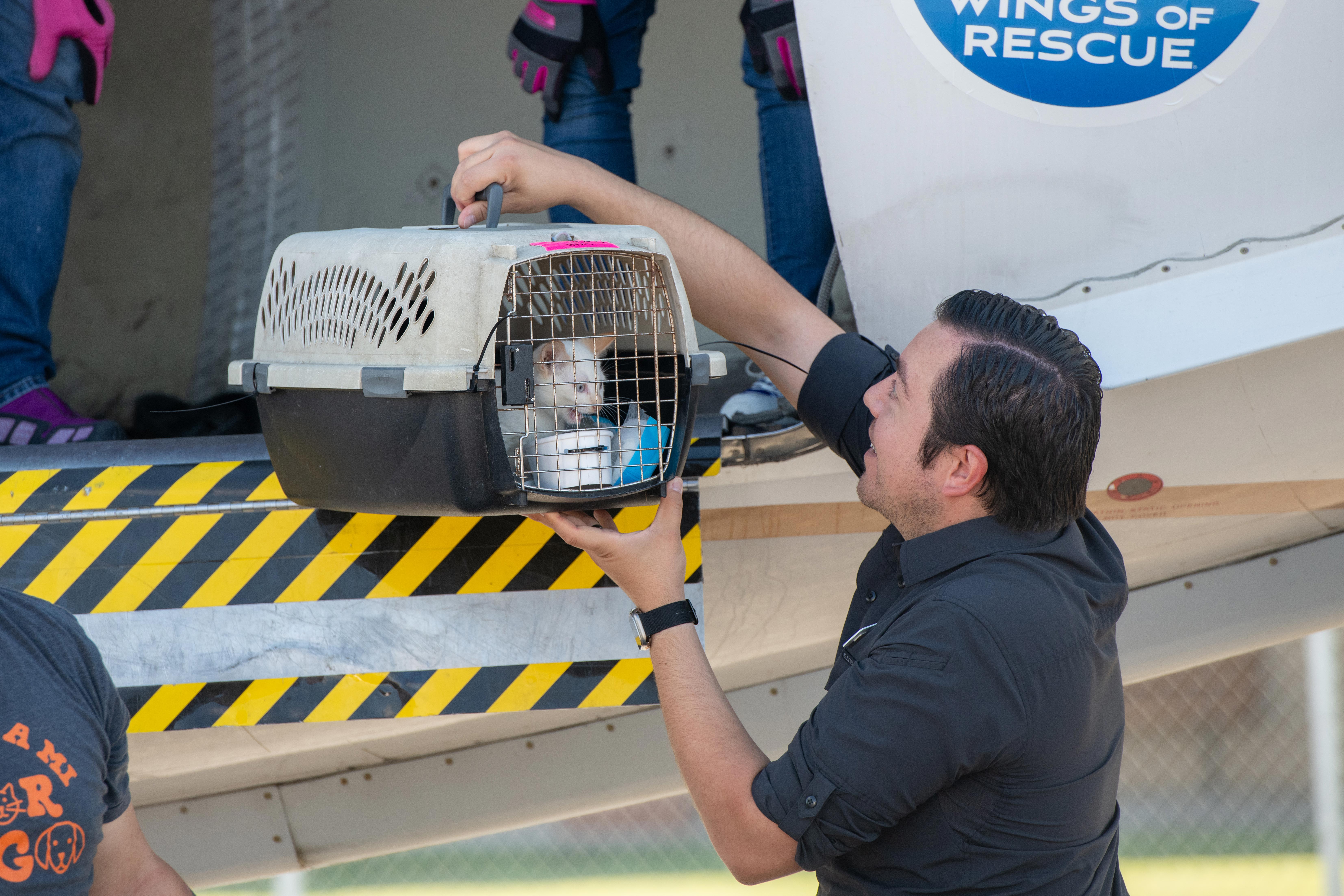 The cat who meowed in the face of disaster | Best Friends Animal Society