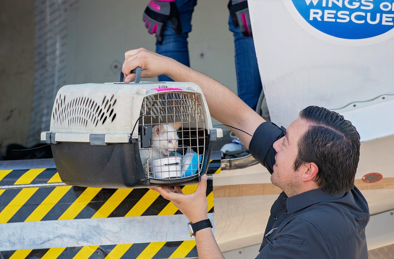 Uniting to rescue pets after Texas floods | Best Friends Animal Society