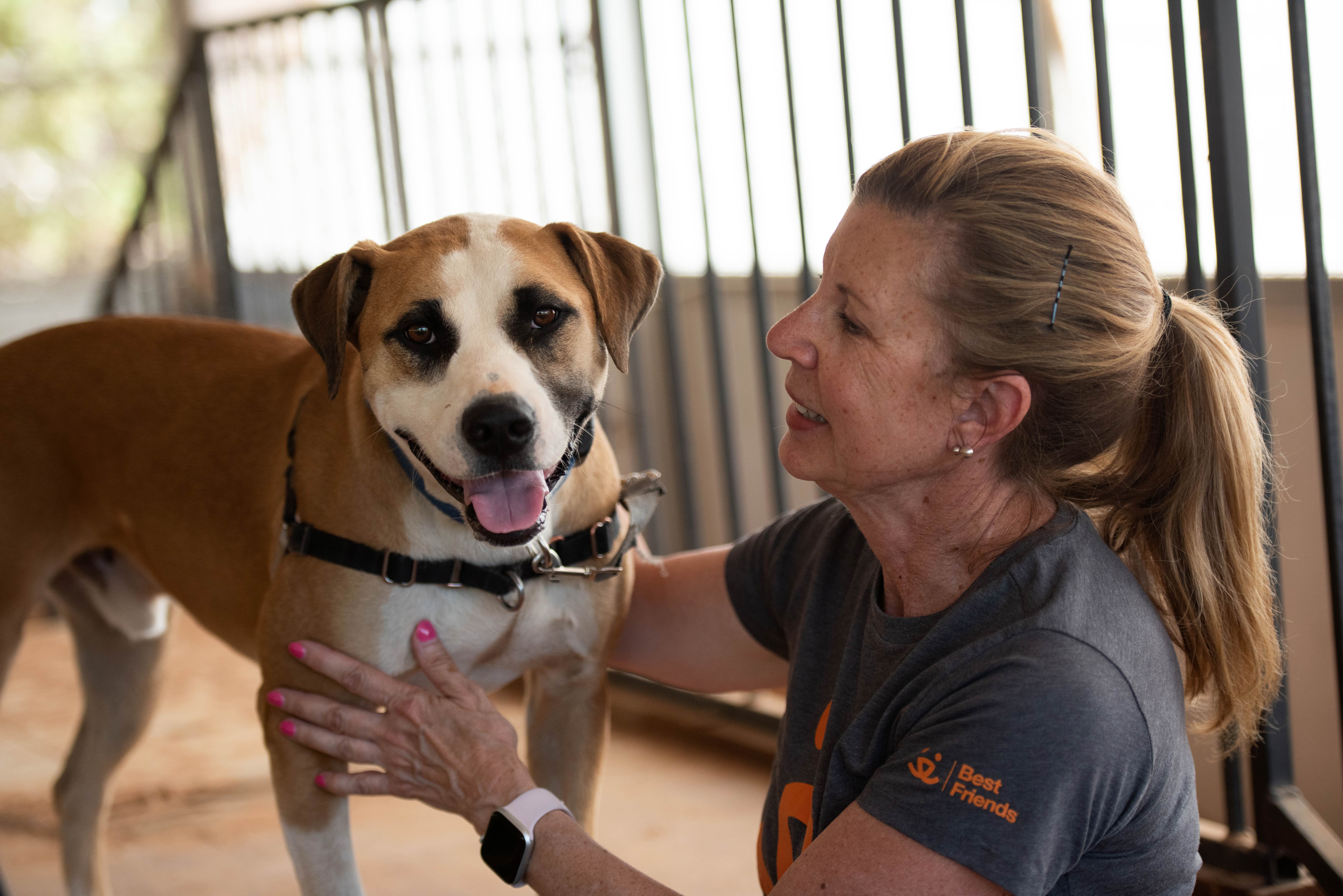 All for the animals: Volunteers share their ‘why’ | Best Friends Animal ...