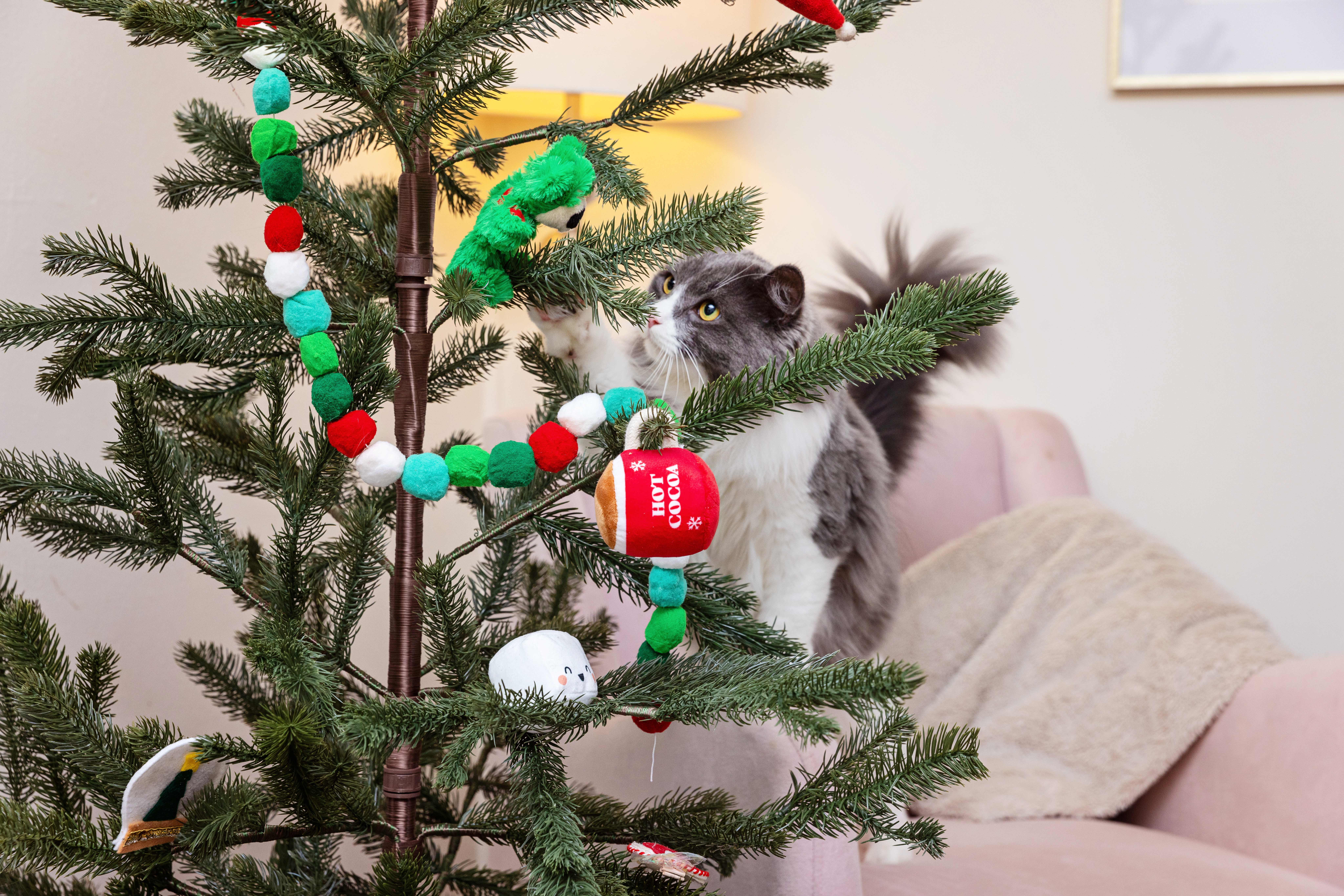 Why cats love Christmas trees and how to keep them safe | Best Friends ...