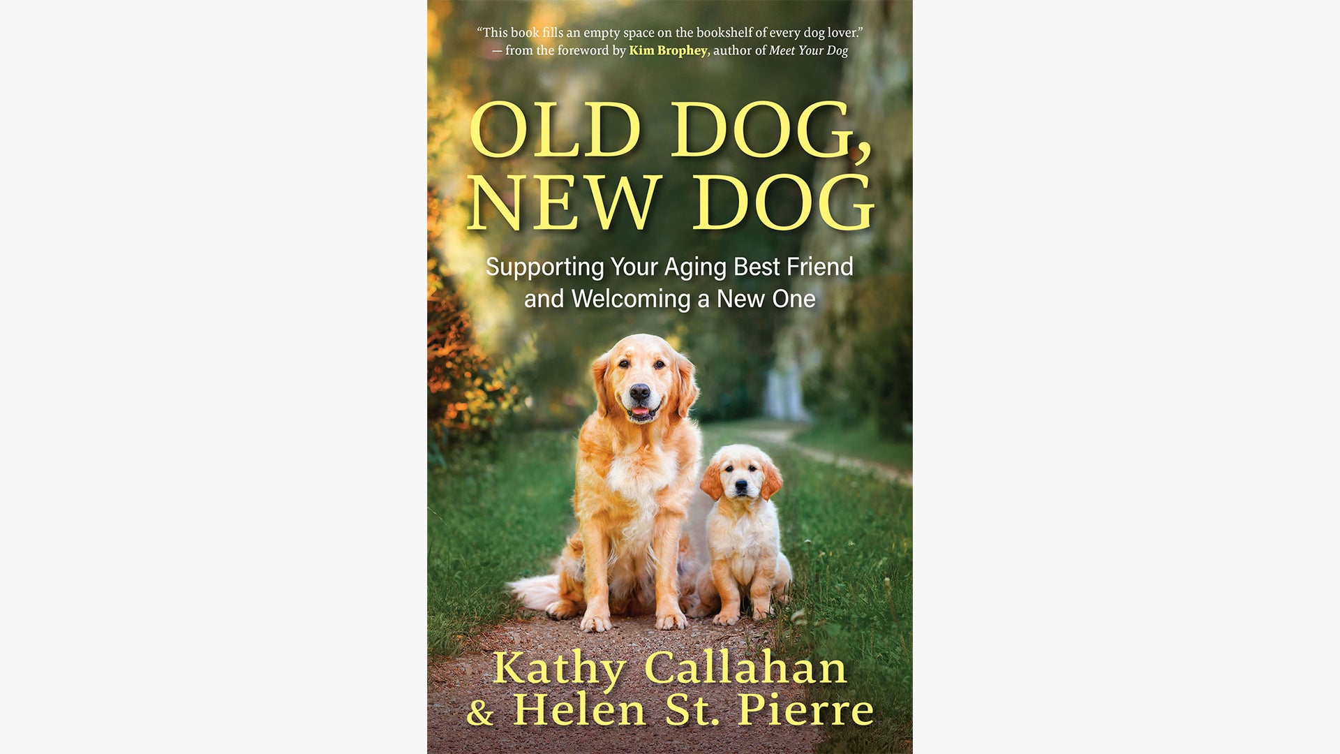 Book review: ‘Old Dog, New Dog’ | Best Friends Animal Society