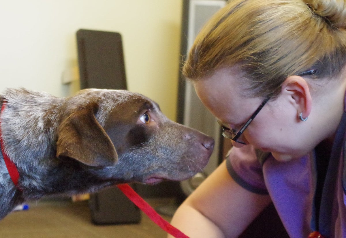 Secrets behind a Salt Lake City animal shelter’s success | Best Friends ...
