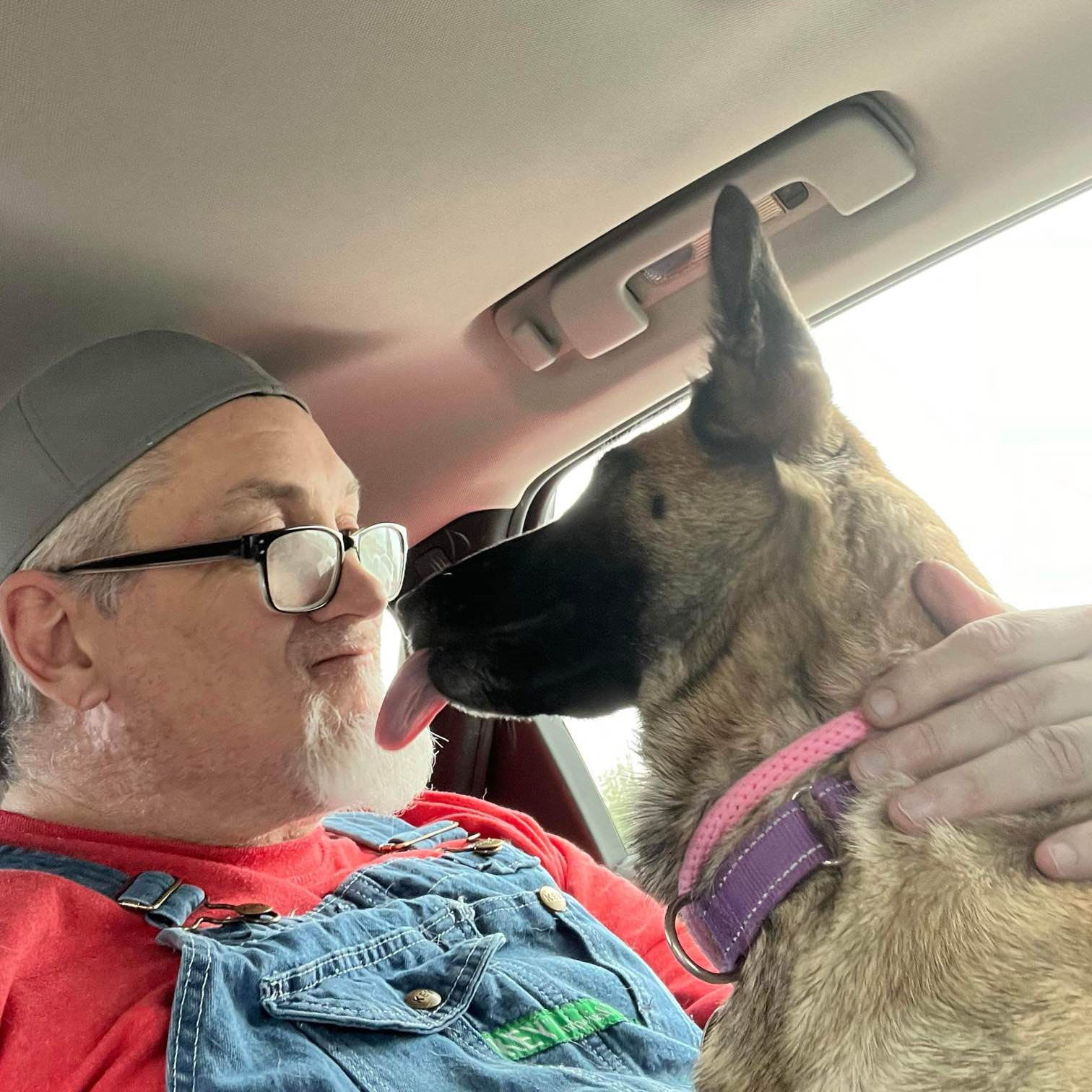 Adopt Utah Pets | Best Friends Animal Society